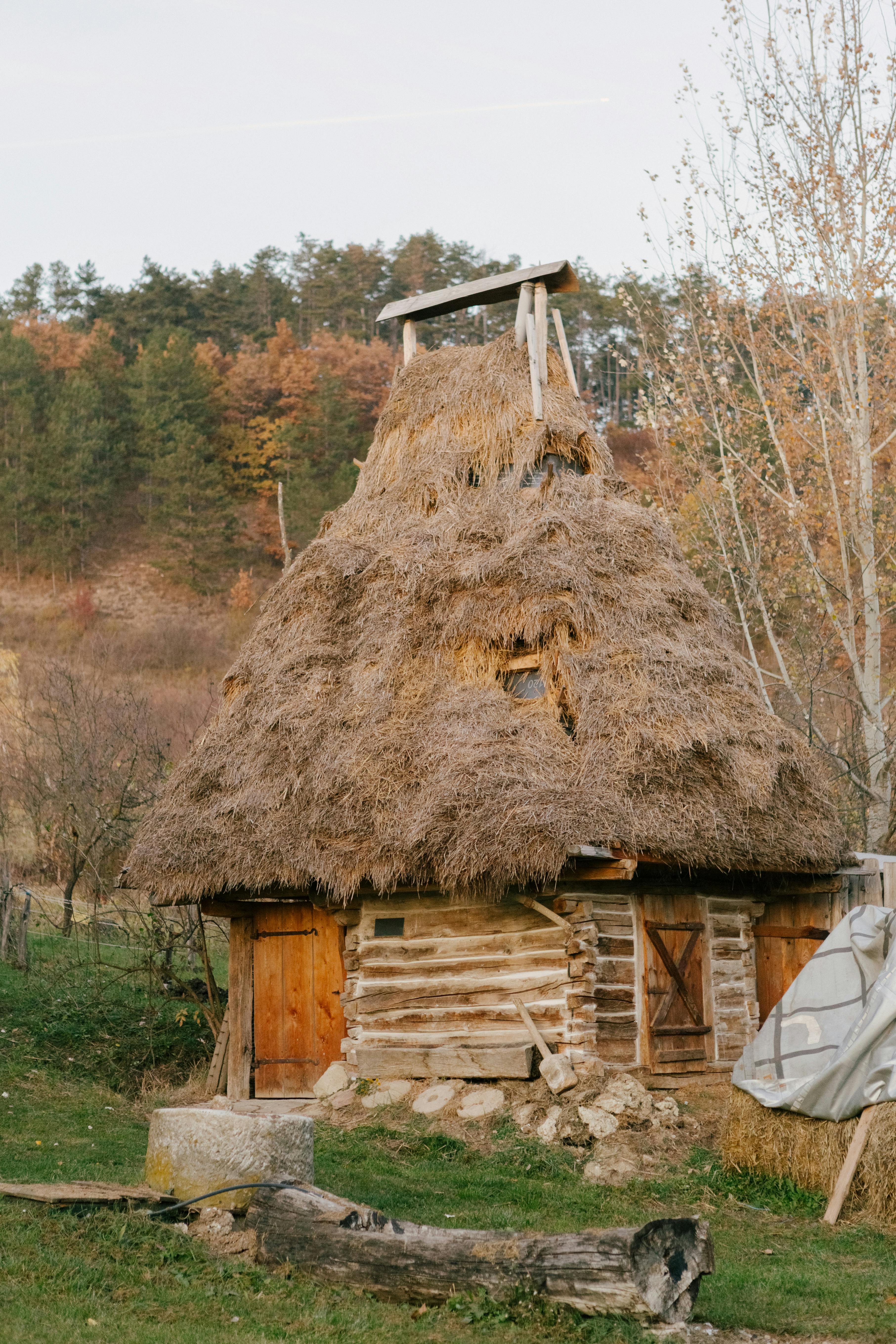 Traditional Romanian Cottage with Thatch Roof · Free Stock Photo