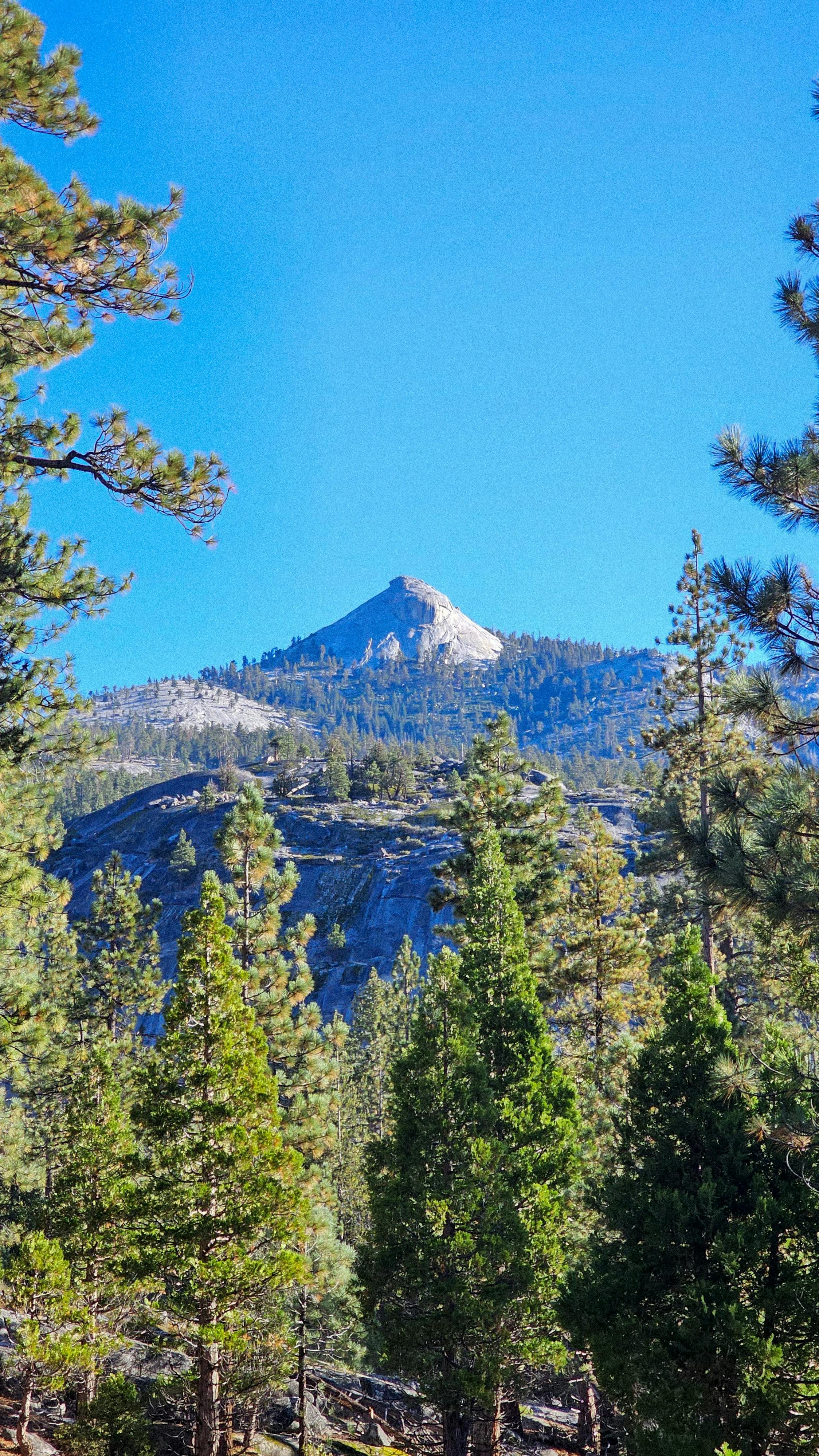 Majestic Mountain View in California Forest · Free Stock Photo