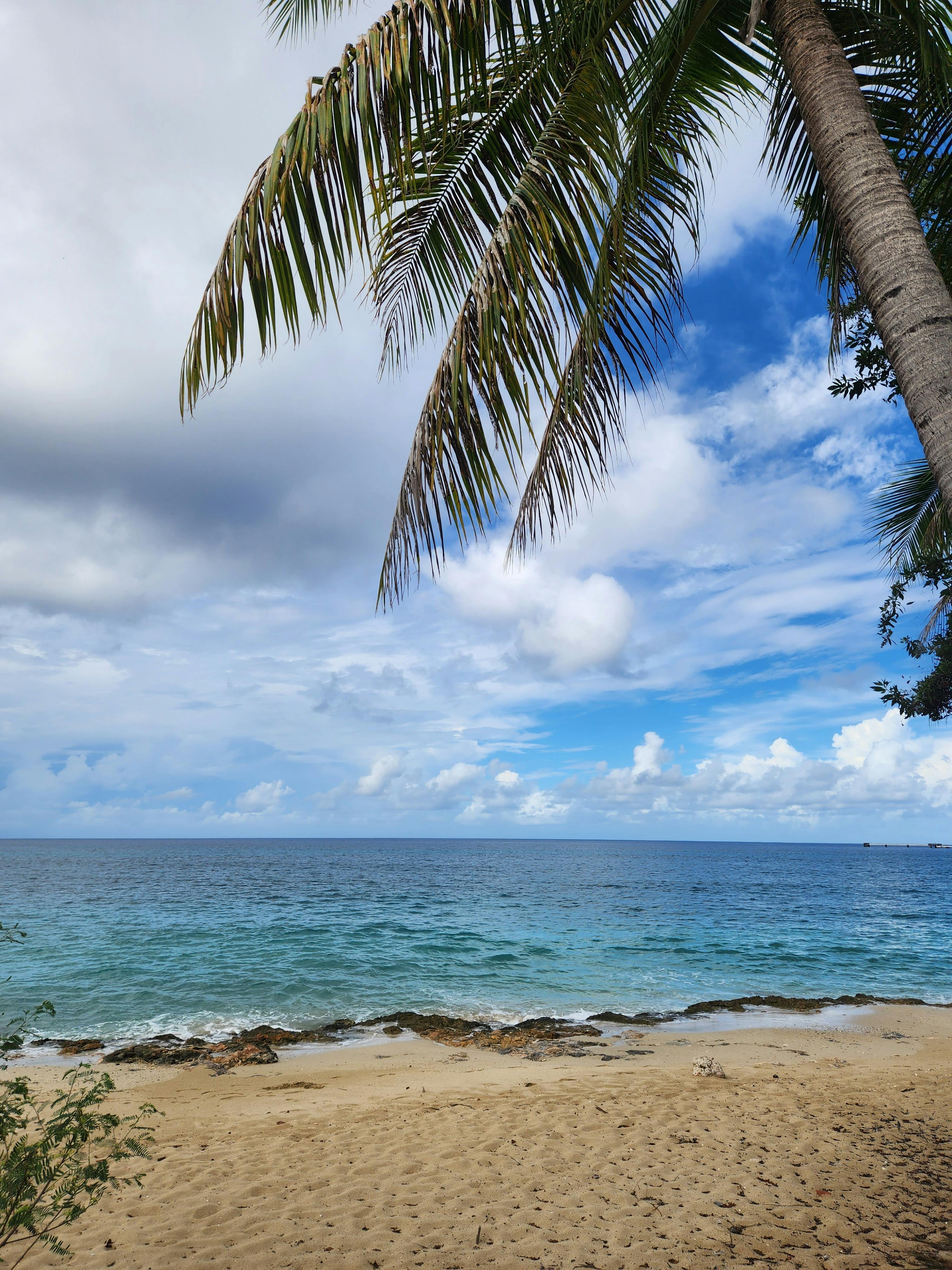 Tranquil Beach Scene in St Croix, USVI · Free Stock Photo
