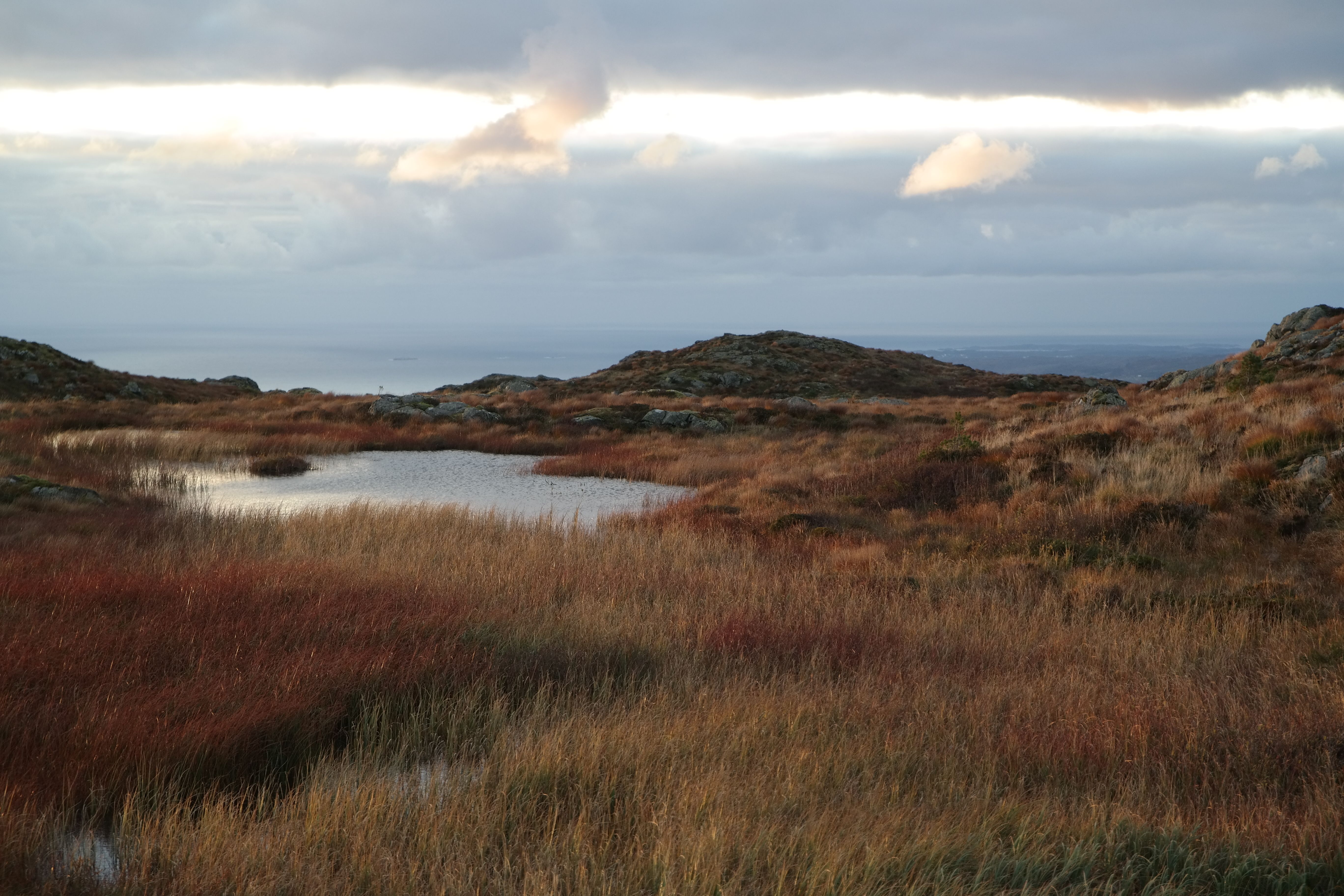 Scenic Autumn Landscape in Fitjar, Norway · Free Stock Photo