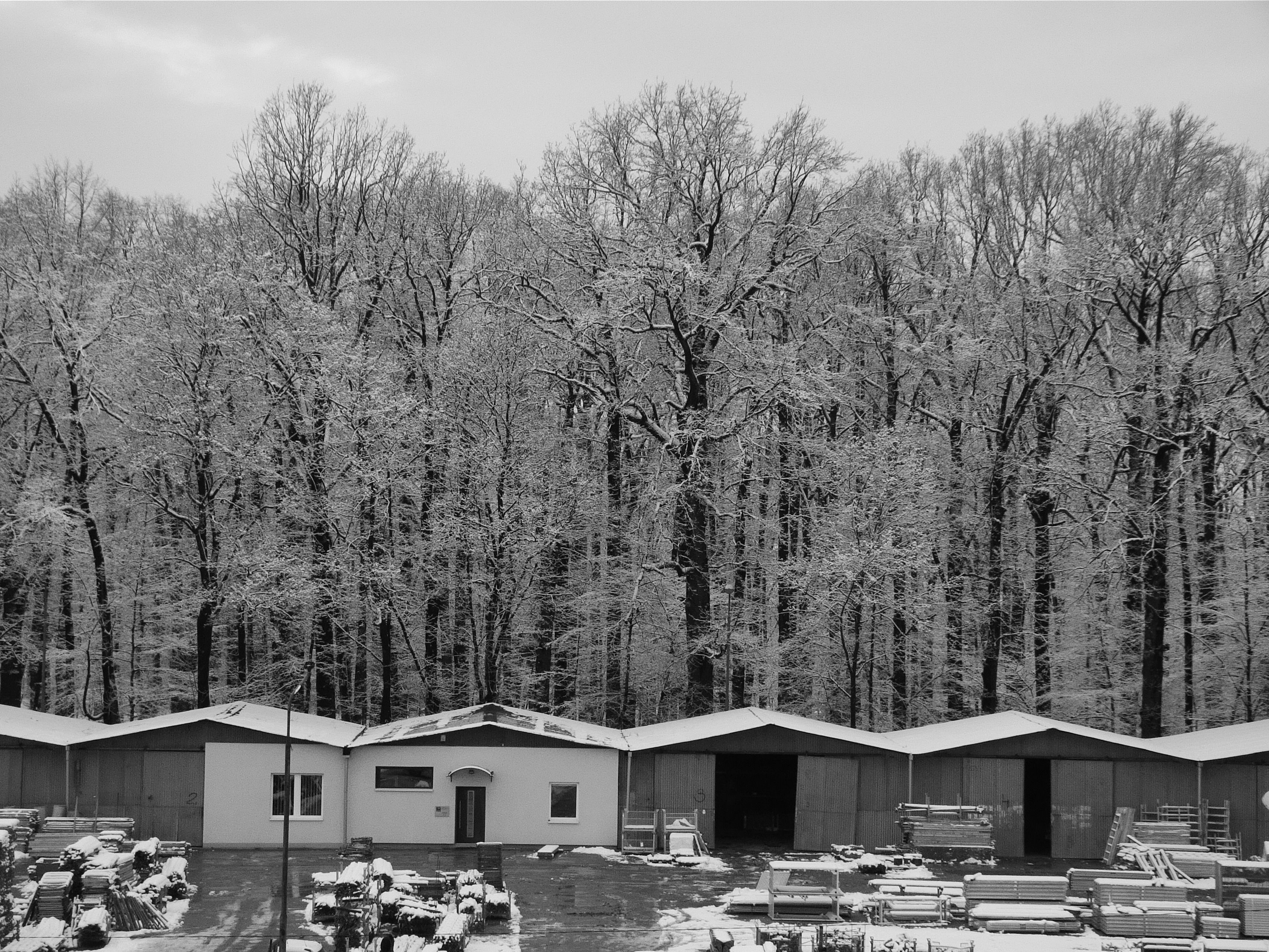 Snow-Covered Forest and Warehouse in Winter · Free Stock Photo