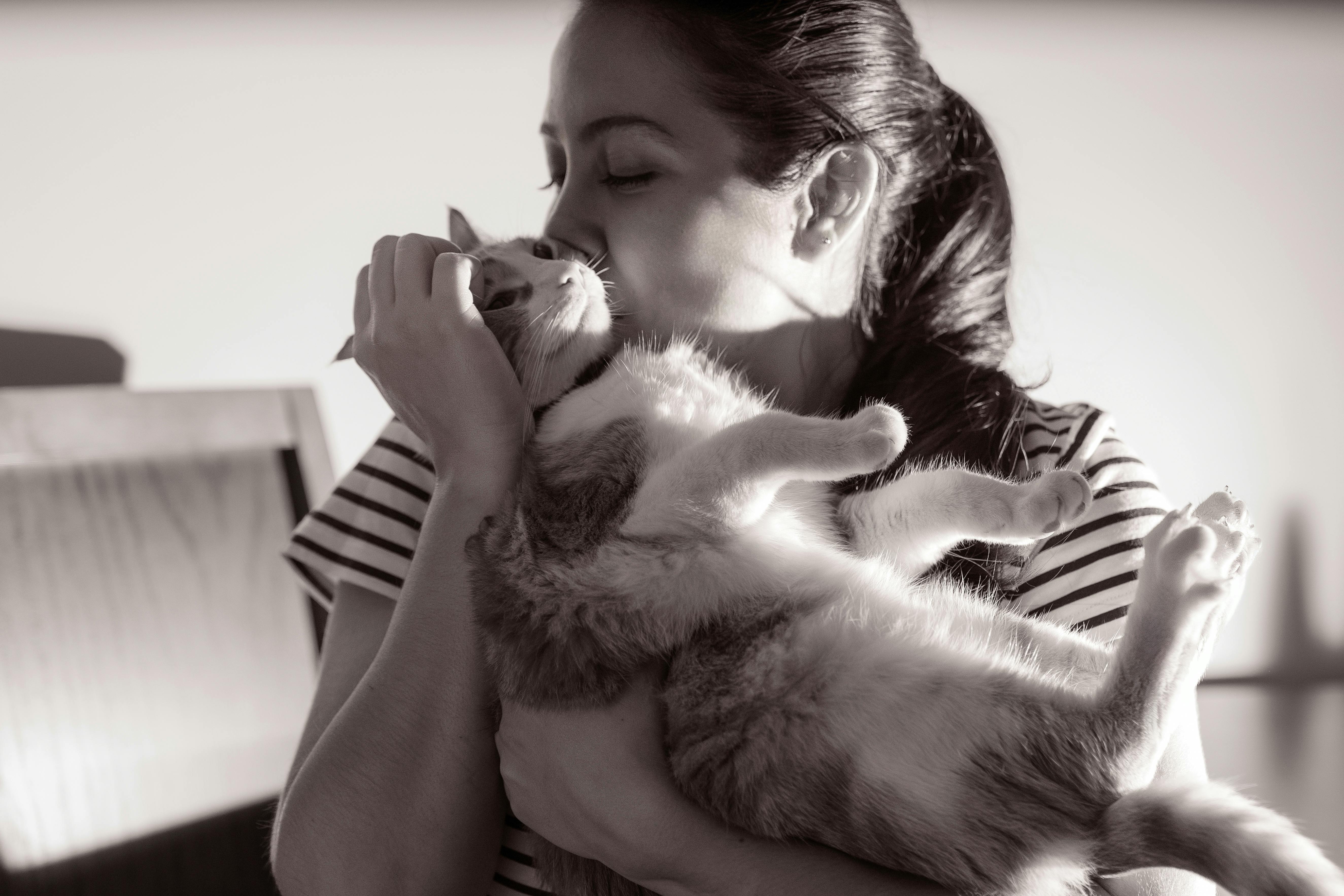 Closeup Of Cat And Faceless Person Photos, Download The BEST Free ...