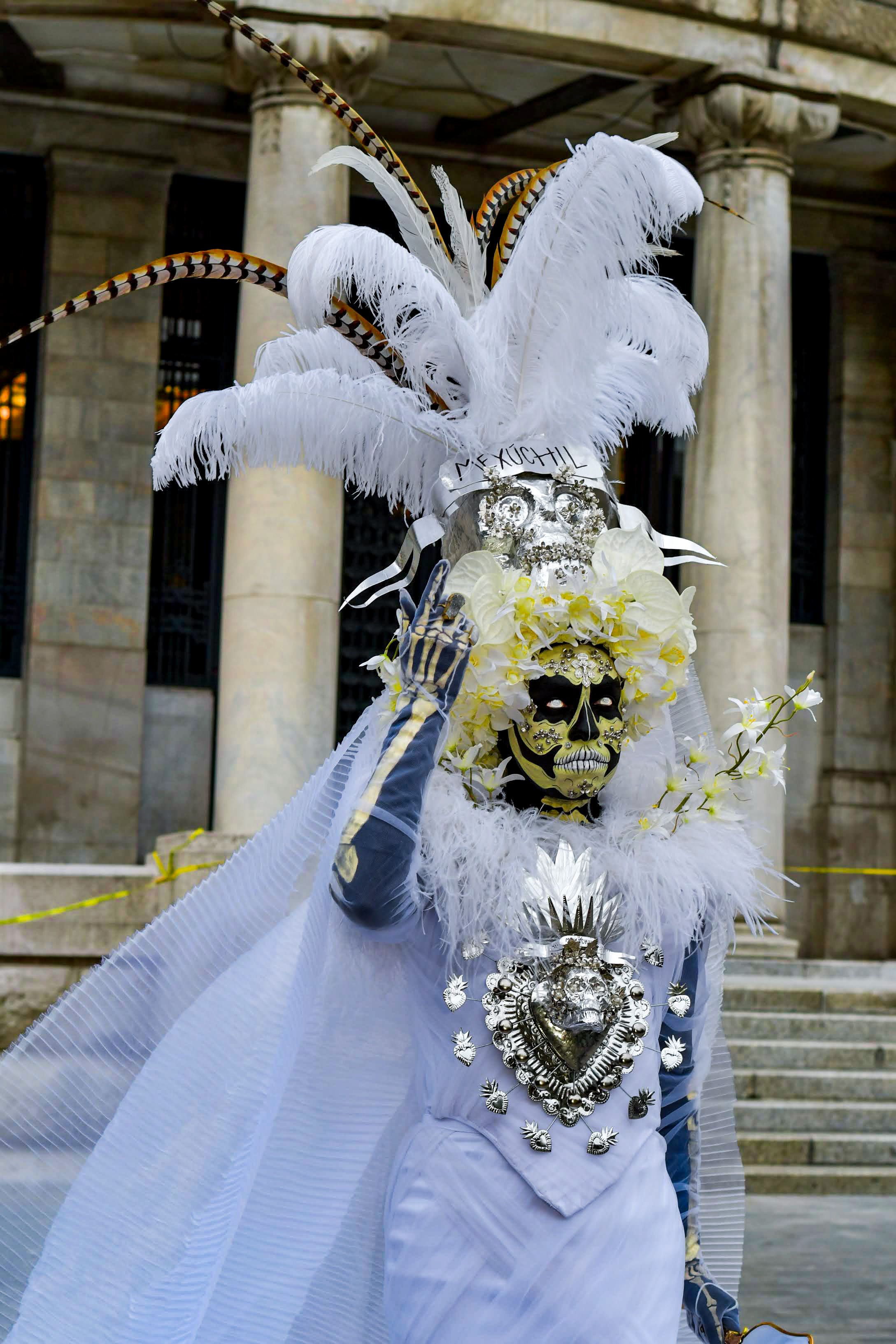 Elaborate Feathered Costume with Skull Mask · Free Stock Photo