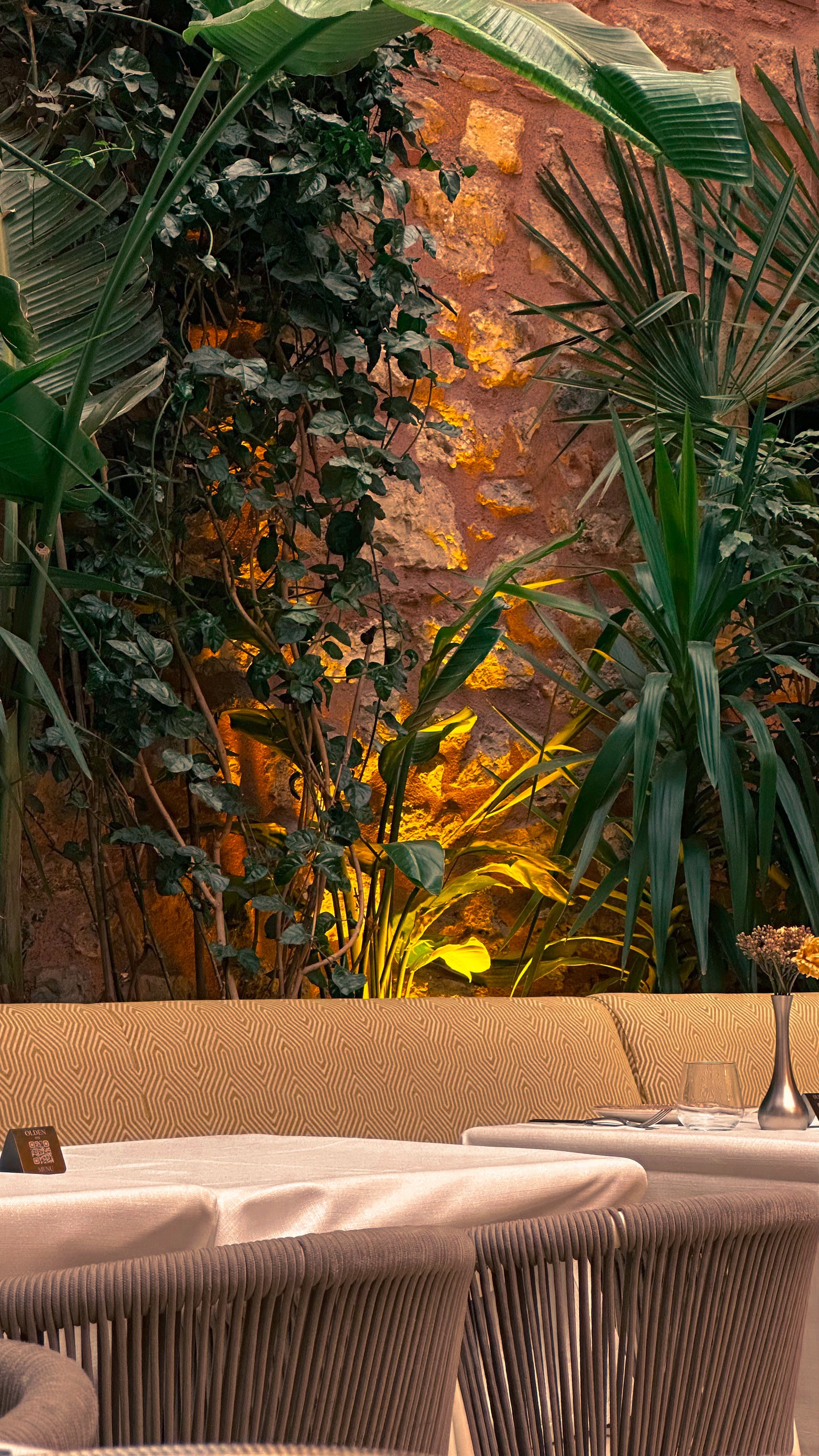 Cozy Outdoor Restaurant with Tropical Decor · Free Stock Photo