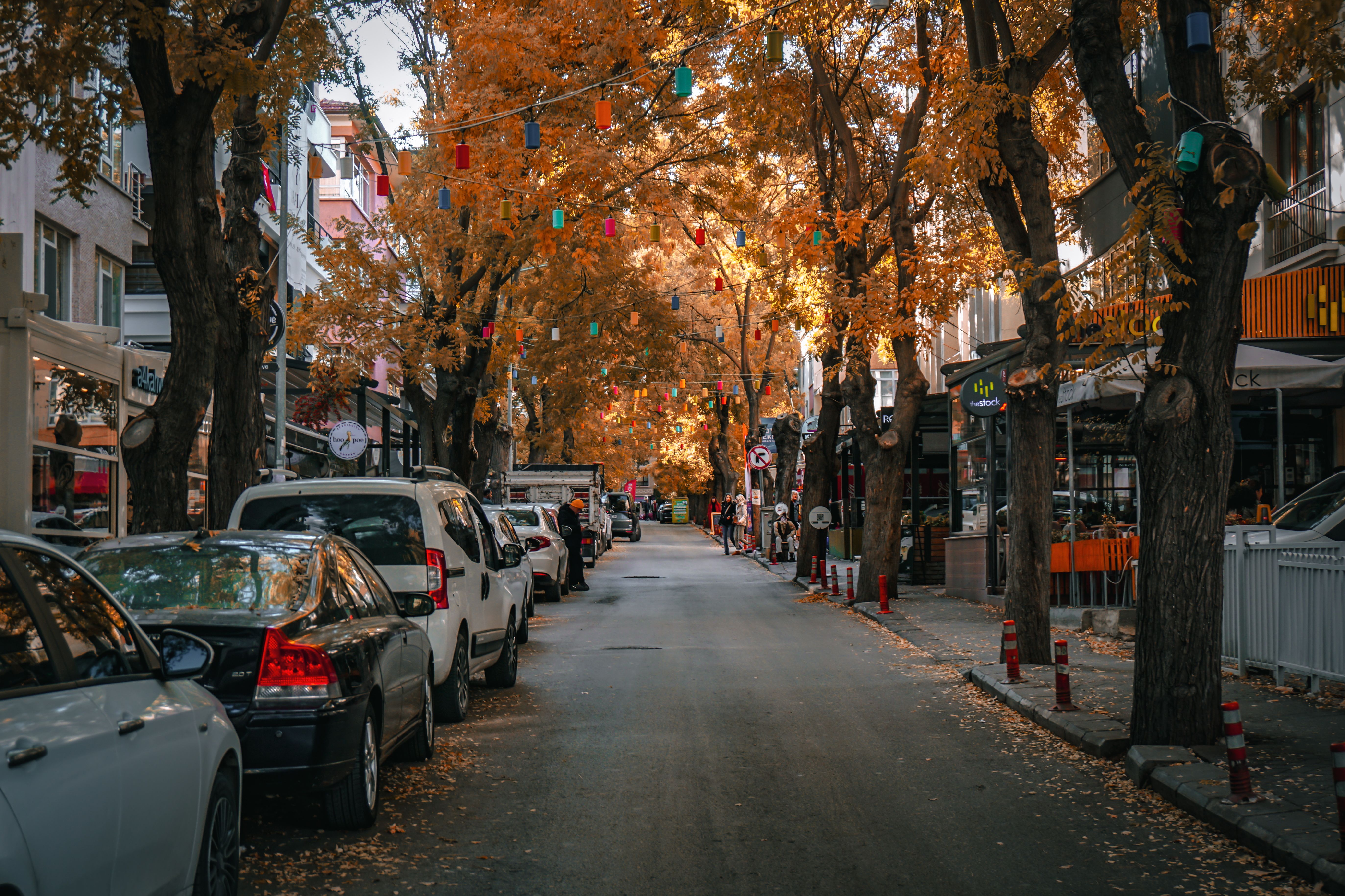Charming Autumn Street with Festive Decorations · Free Stock Photo