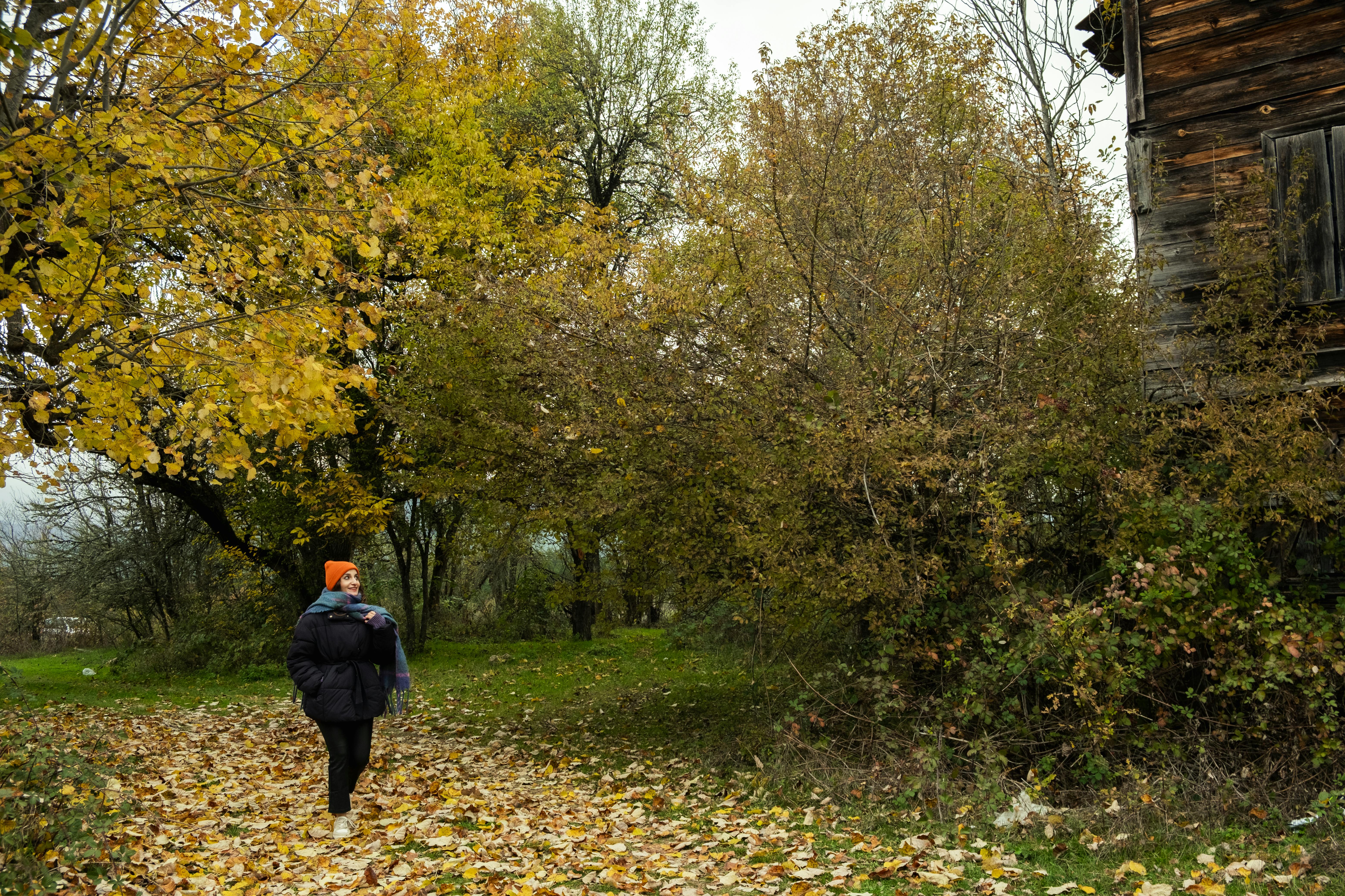 Autumn Walk in a Rustic Countryside Setting · Free Stock Photo