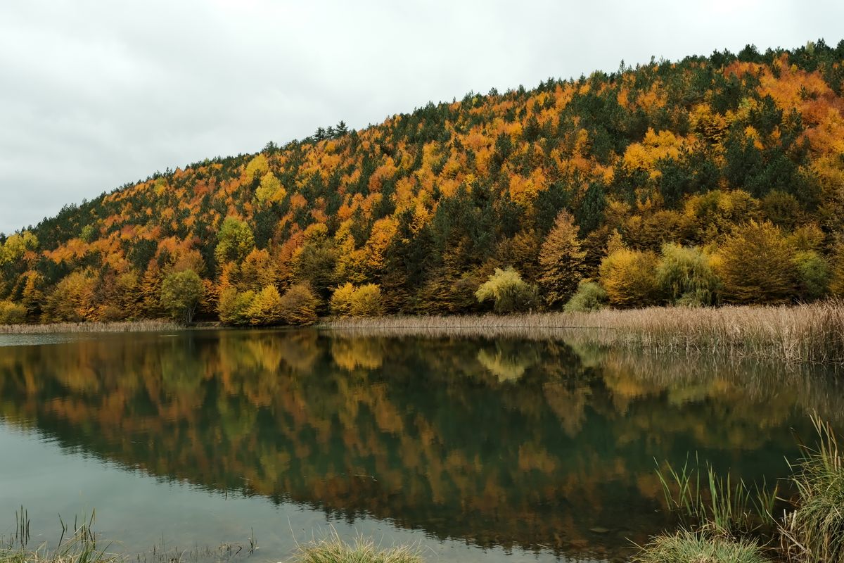 Lake Images Photos, Download The BEST Free Lake Images Stock Photos ...