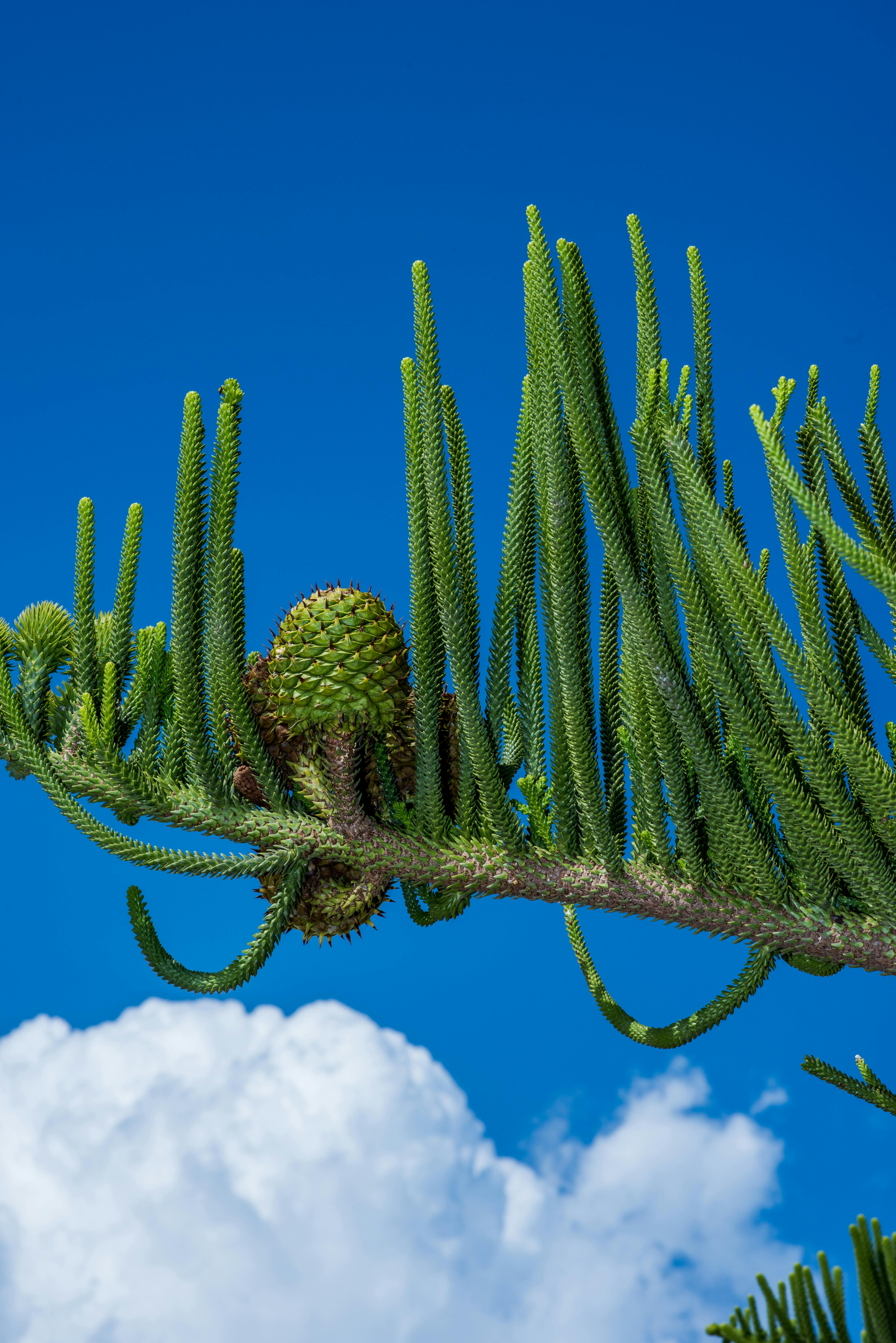 Loopy Background Photos, Download The BEST Free Loopy Background Stock ...