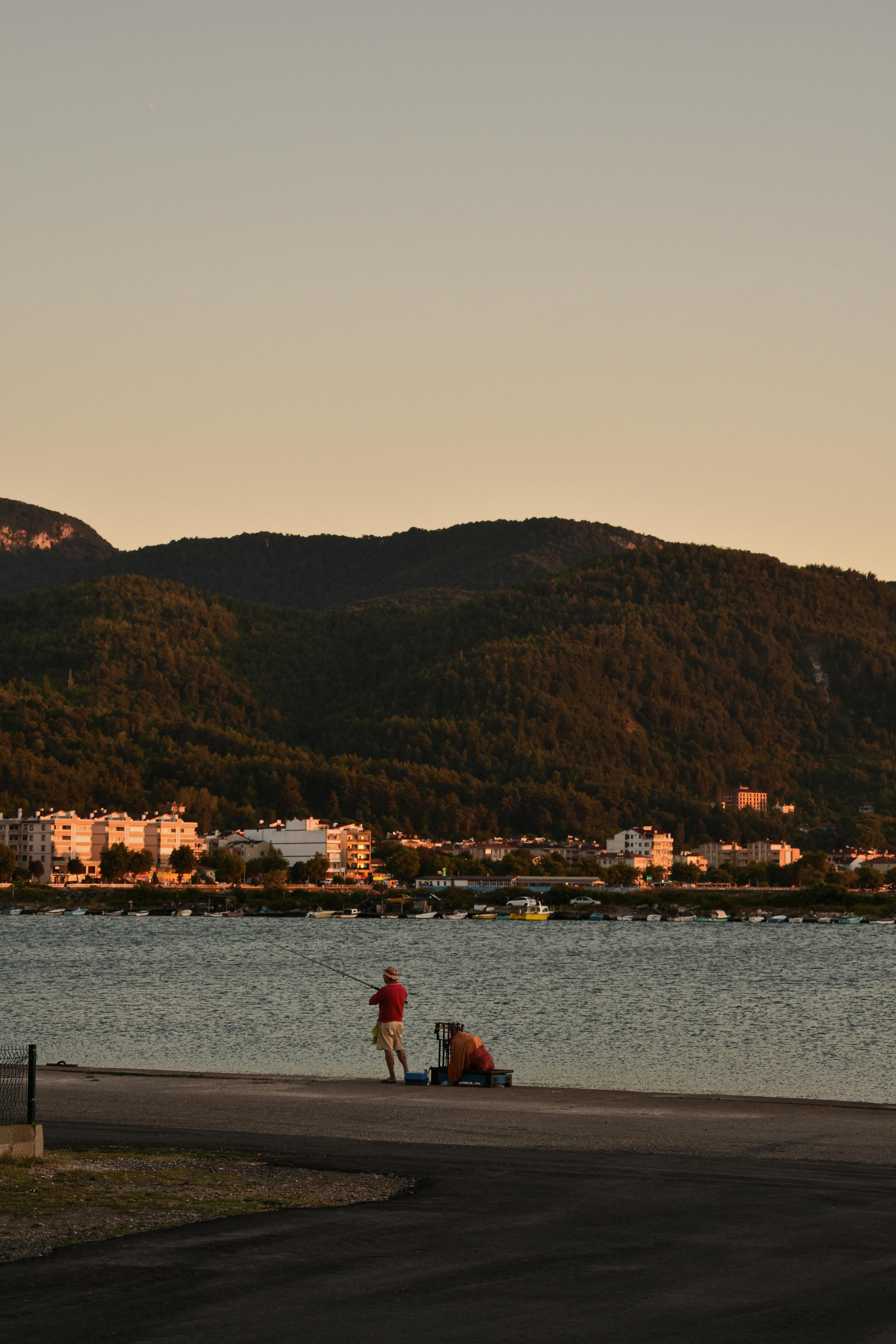 30+ Cide Simgeleri Bilder und Fotos · Kostenlos Downloaden · Pexels ...