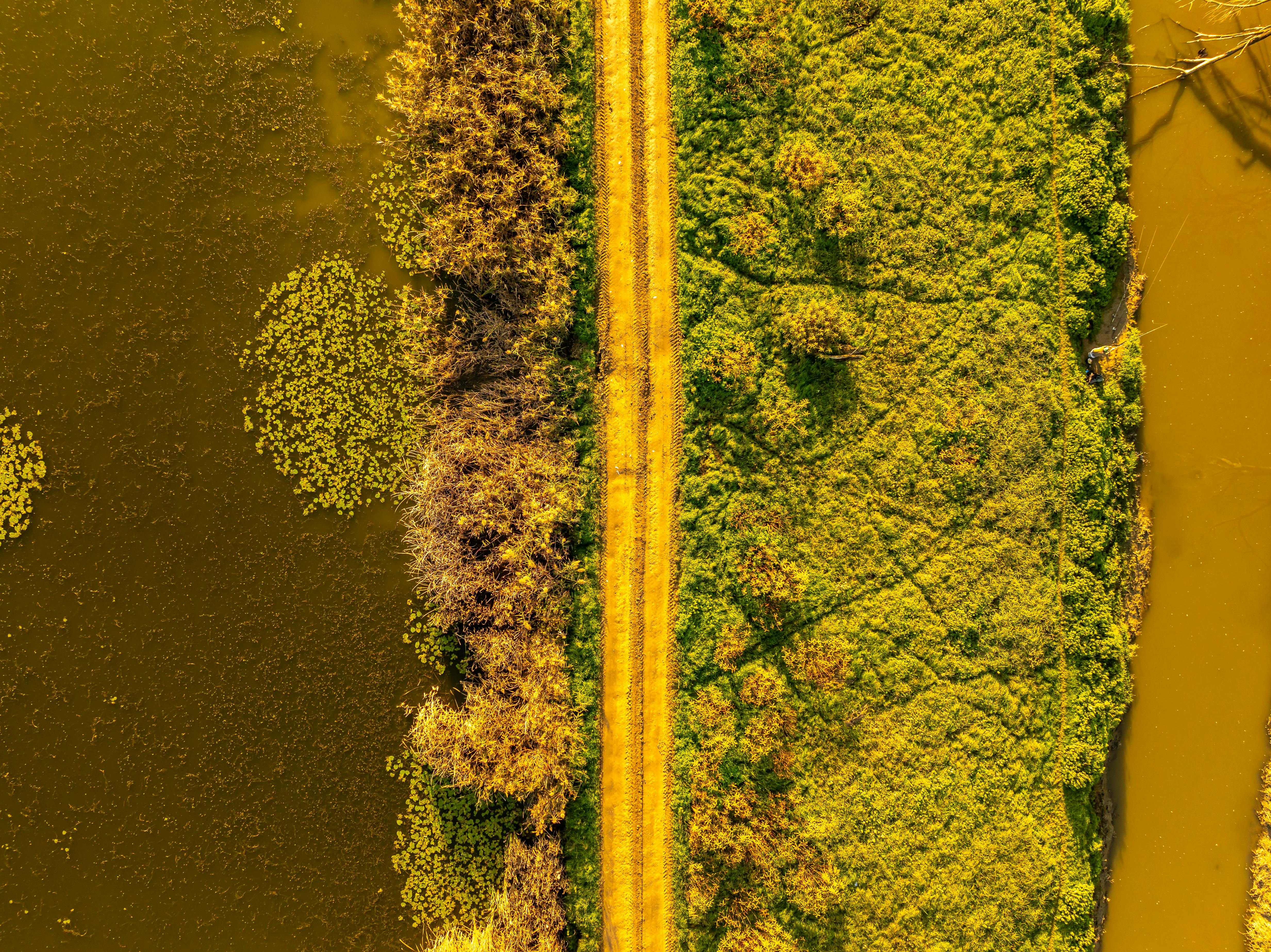 Aerial View of Path Between Pond and Green Field · Free Stock Photo