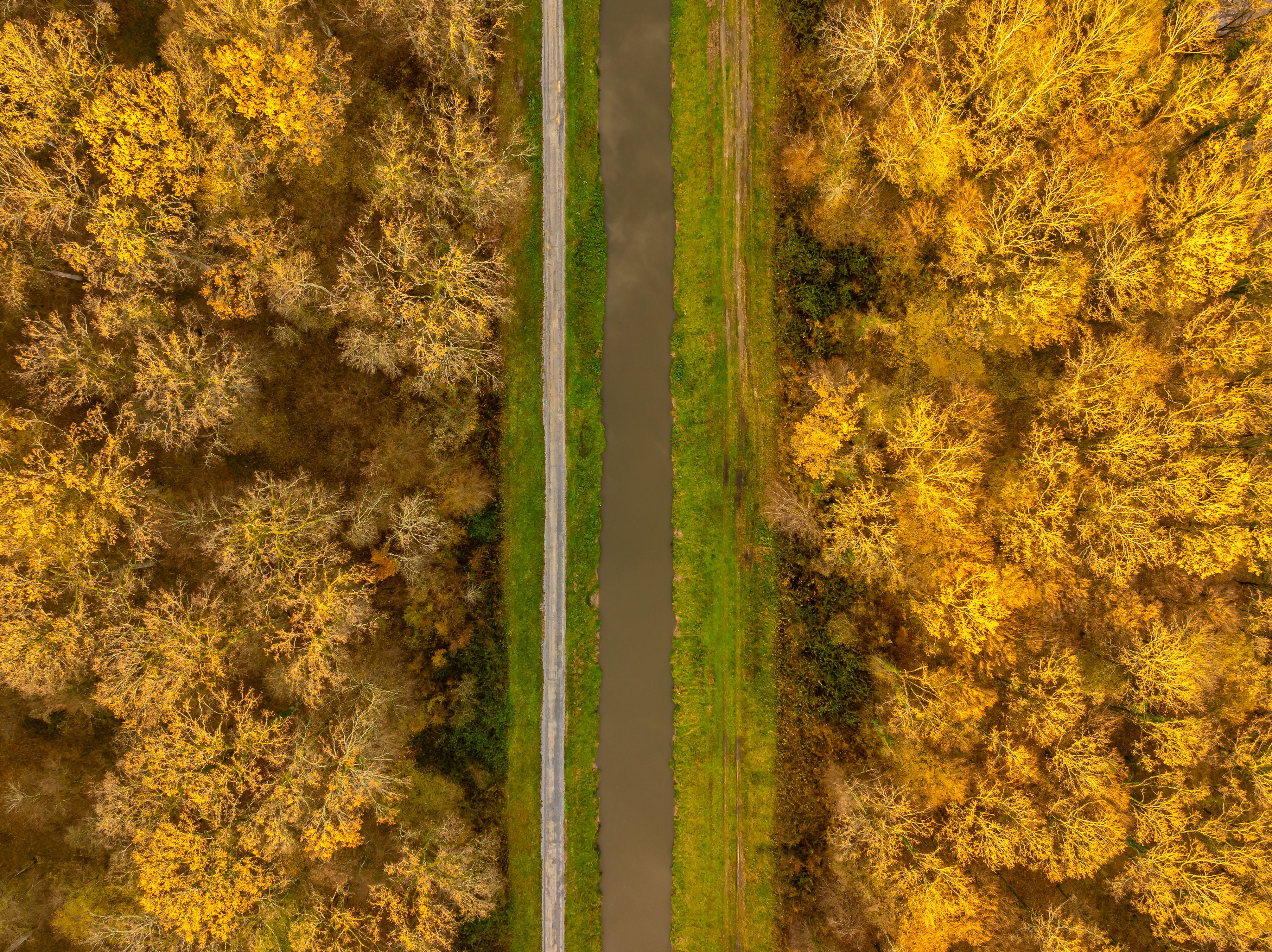 Diverging Paths Photos, Download The BEST Free Diverging Paths Stock ...