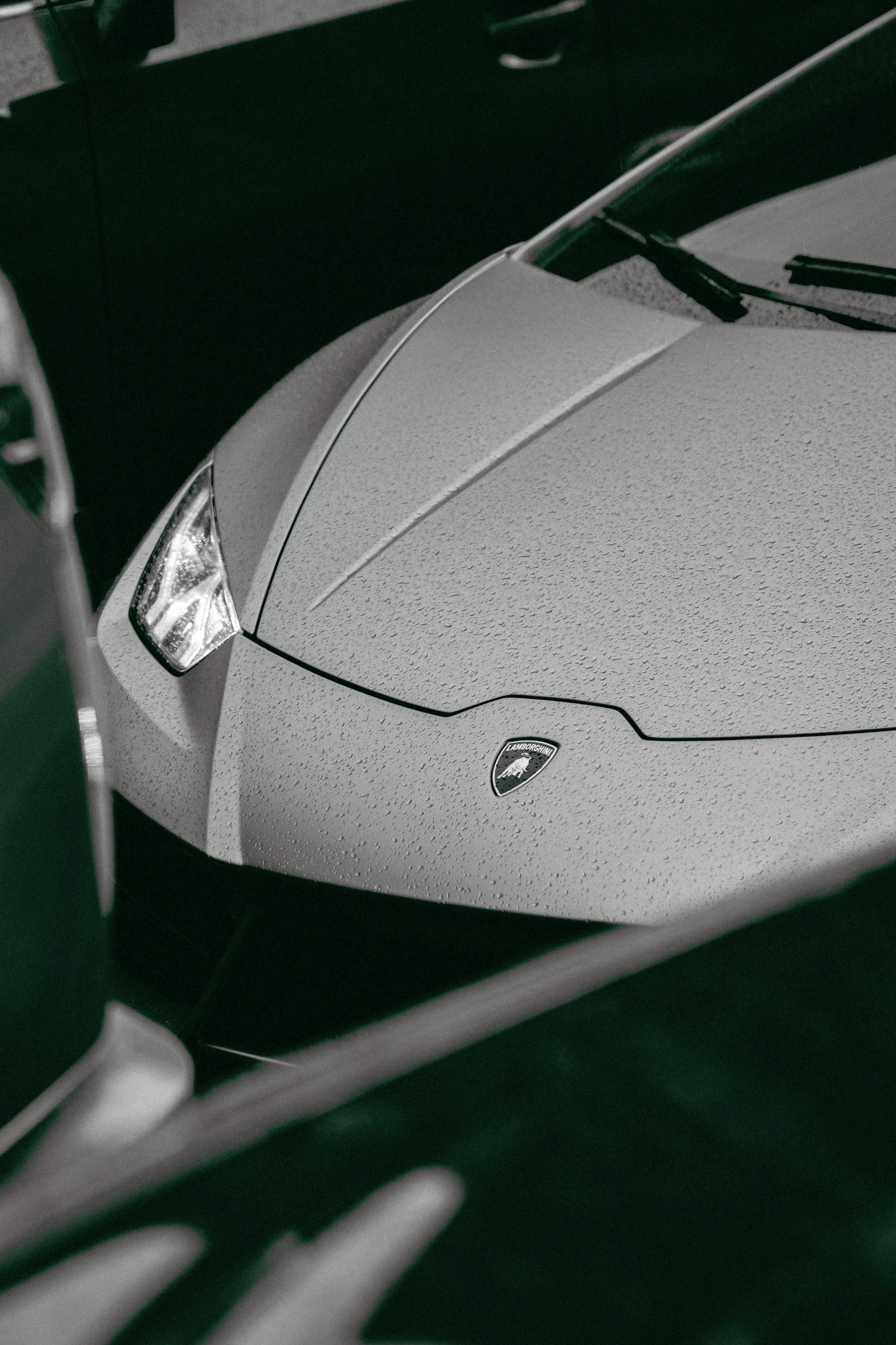 Sleek Sports Car with Rain Droplets on Hood · Free Stock Photo