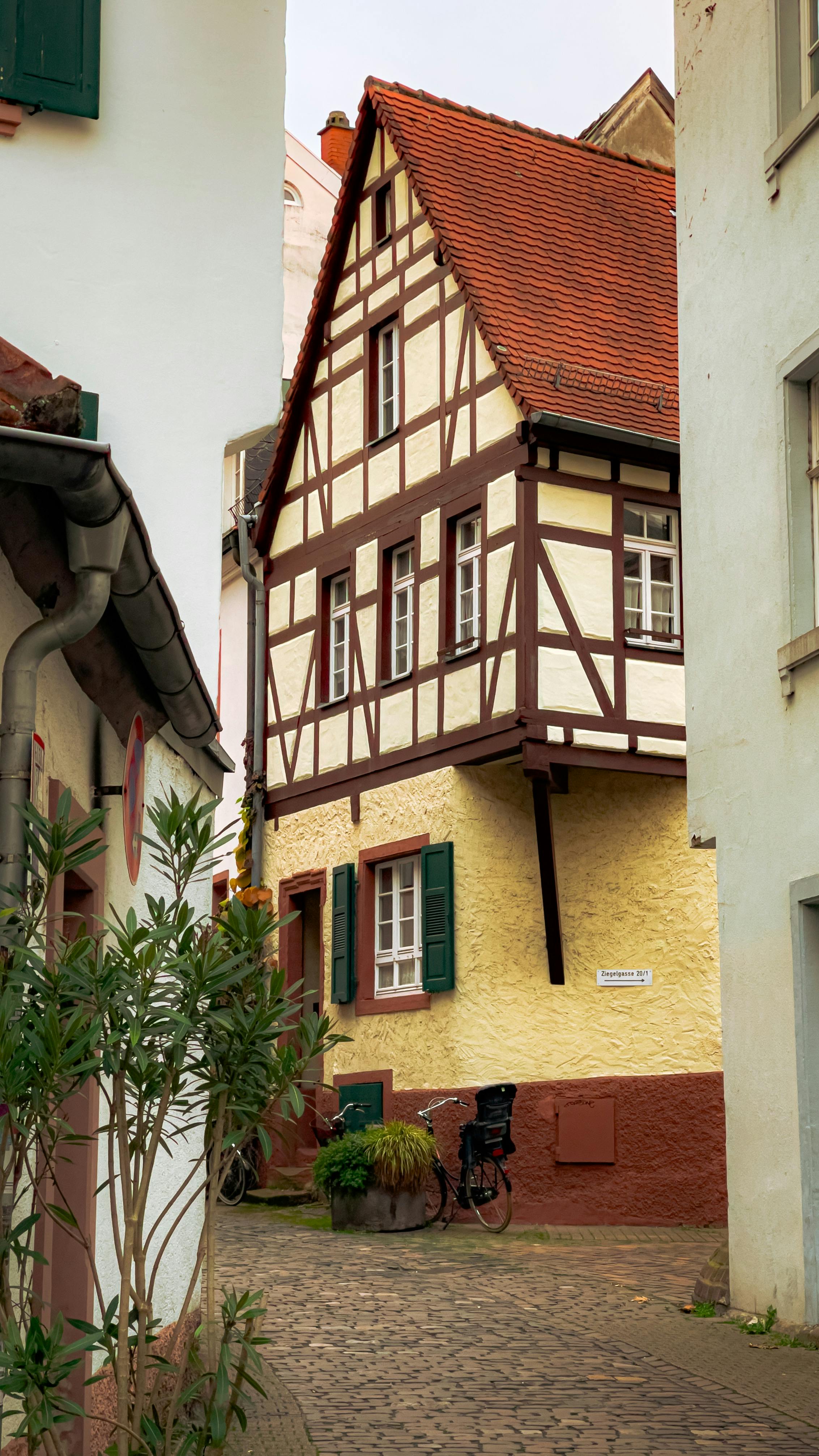 Omair Tabikh - Photographie