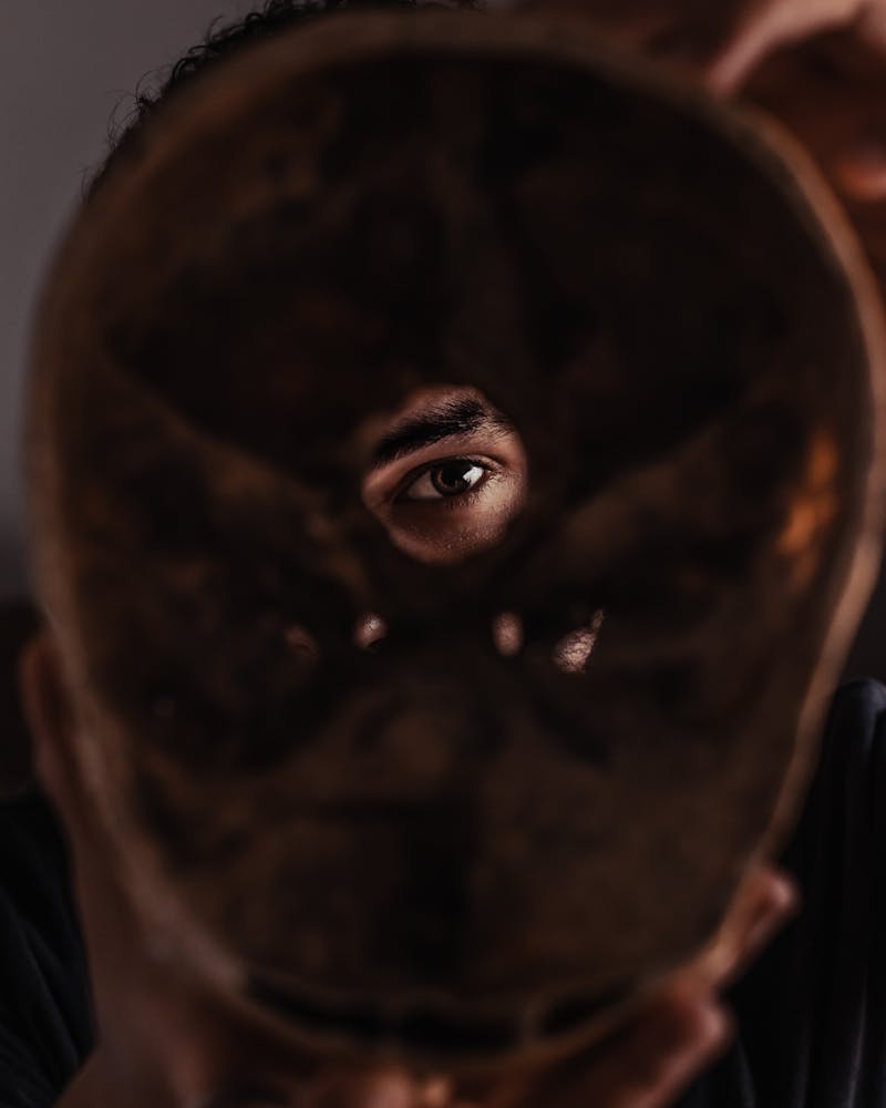 Skull Body Pfp Photos, Download The BEST Free Skull Body Pfp Stock ...