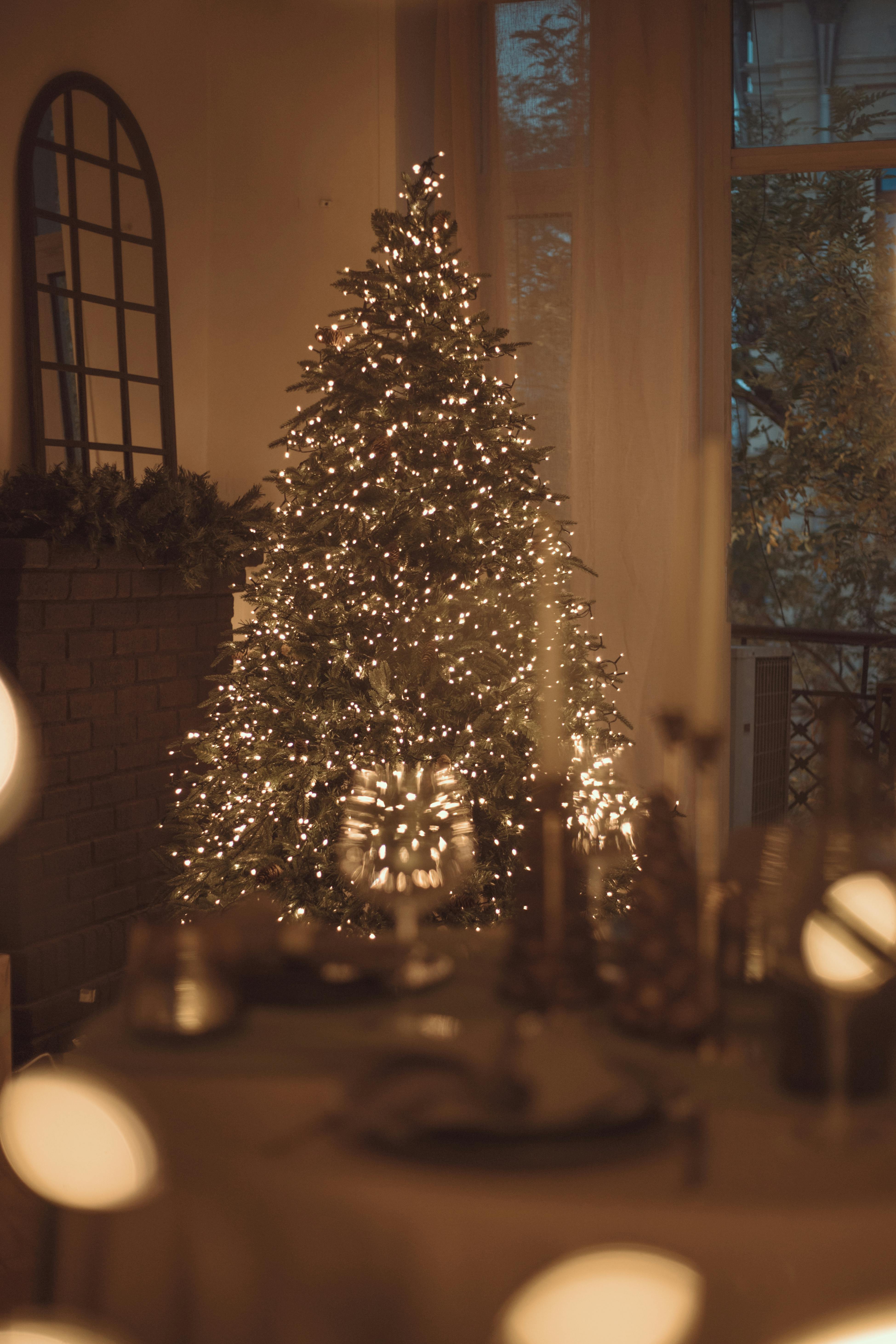 Cozy Indoor Christmas Tree with Lights · Free Stock Photo