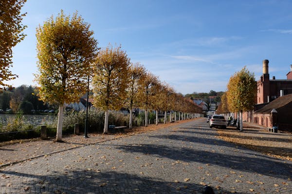 Tree Line Photos, Download The BEST Free Tree Line Stock Photos & HD Images