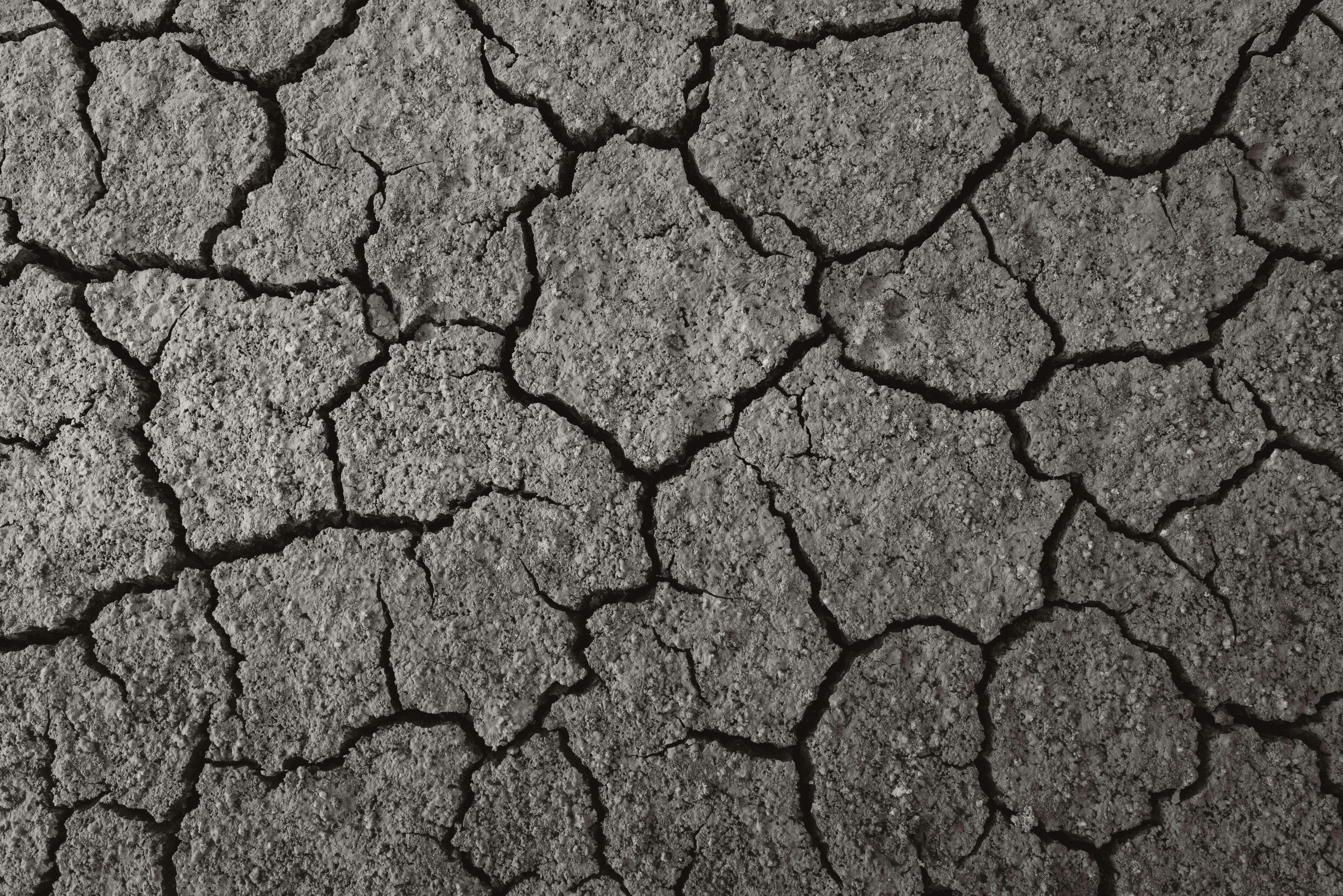 Cracked Arid Earth Texture in Ankara · Free Stock Photo