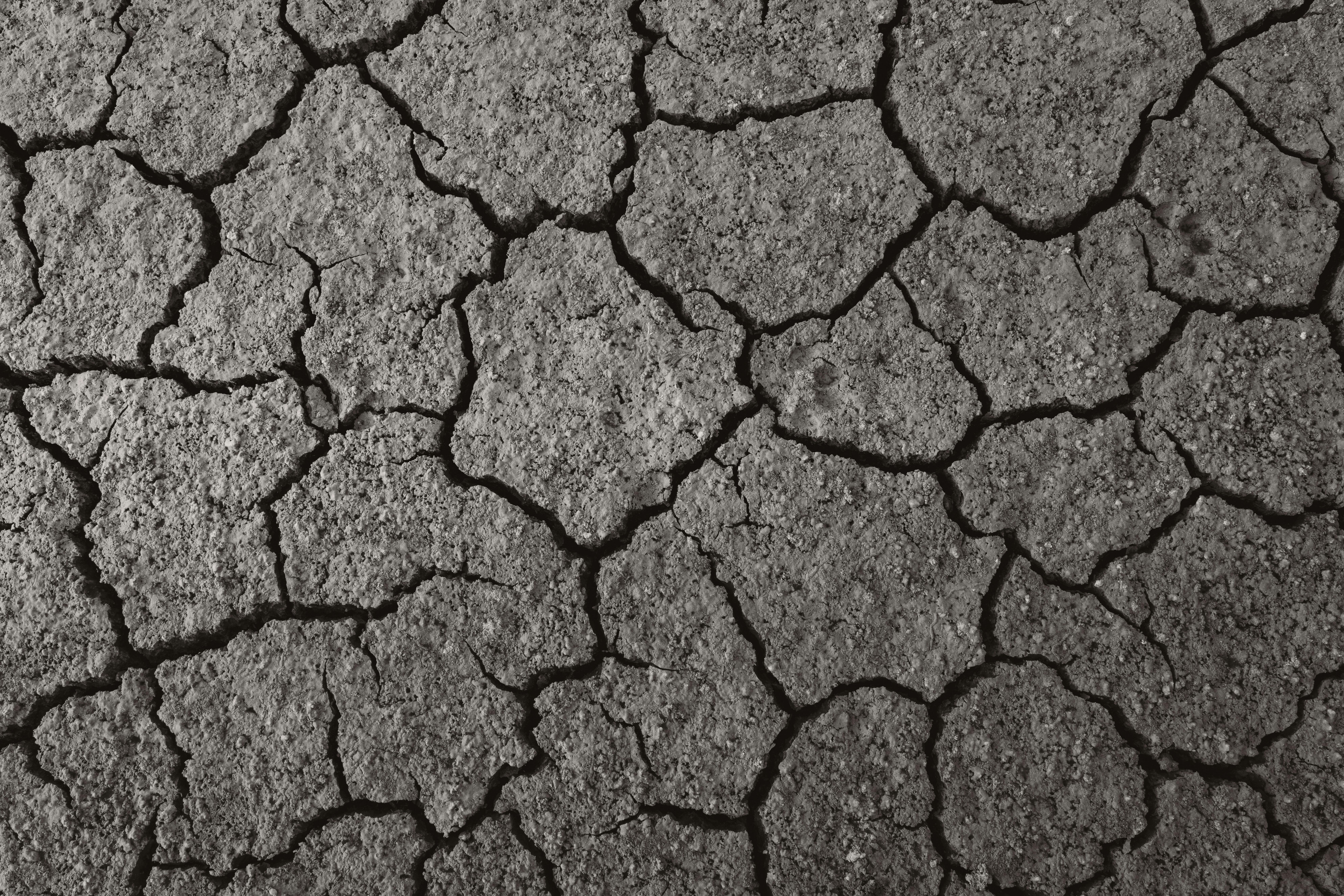 Textura De Tierra árida Y Agrietada En Ankara · Foto de stock gratuita