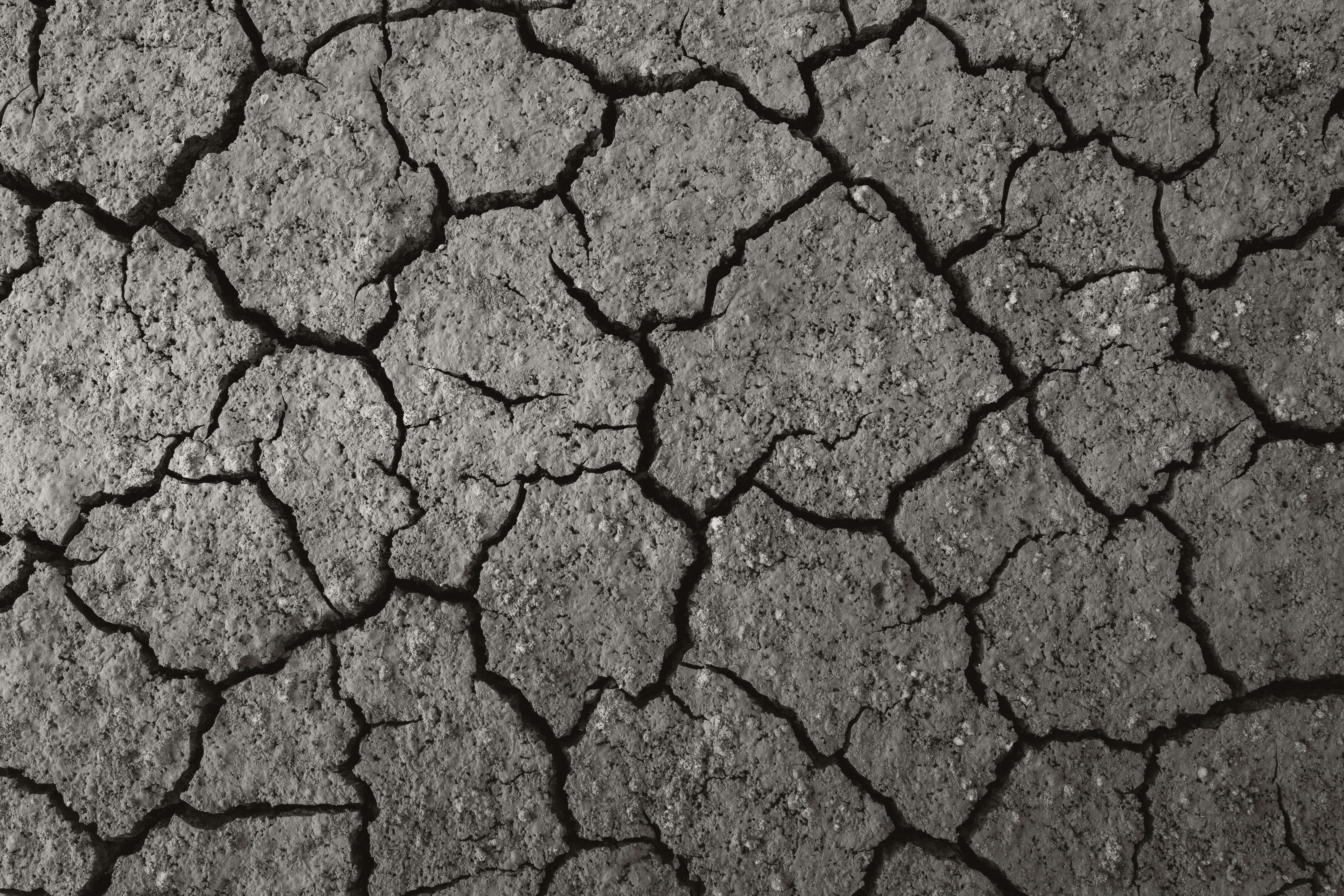 Cracked Arid Soil Texture in Ankara · Free Stock Photo