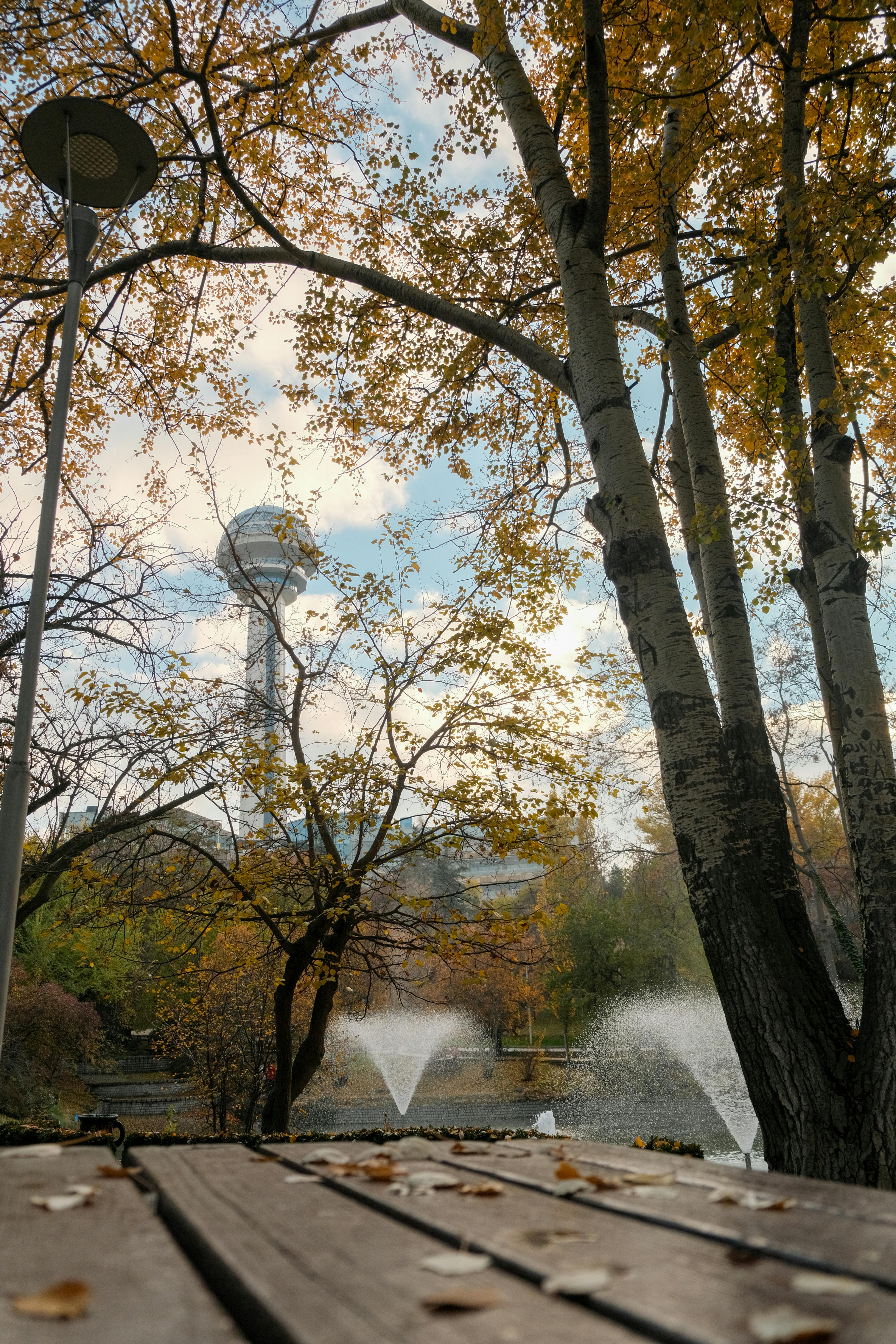 Serene Fall Park Scene with Water Fountain · Free Stock Photo