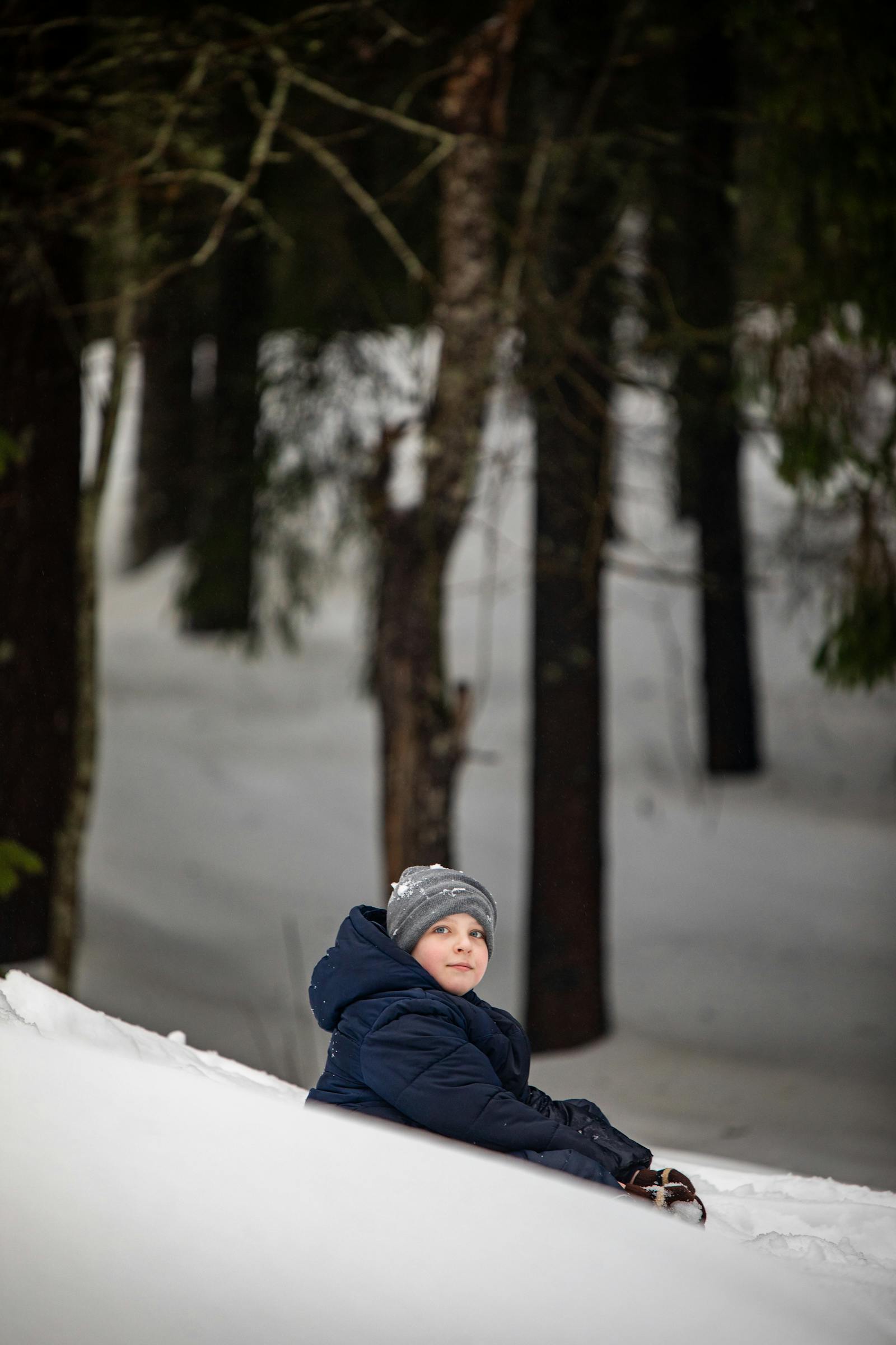 Forest Cold Photos, Download The BEST Free Forest Cold Stock Photos ...