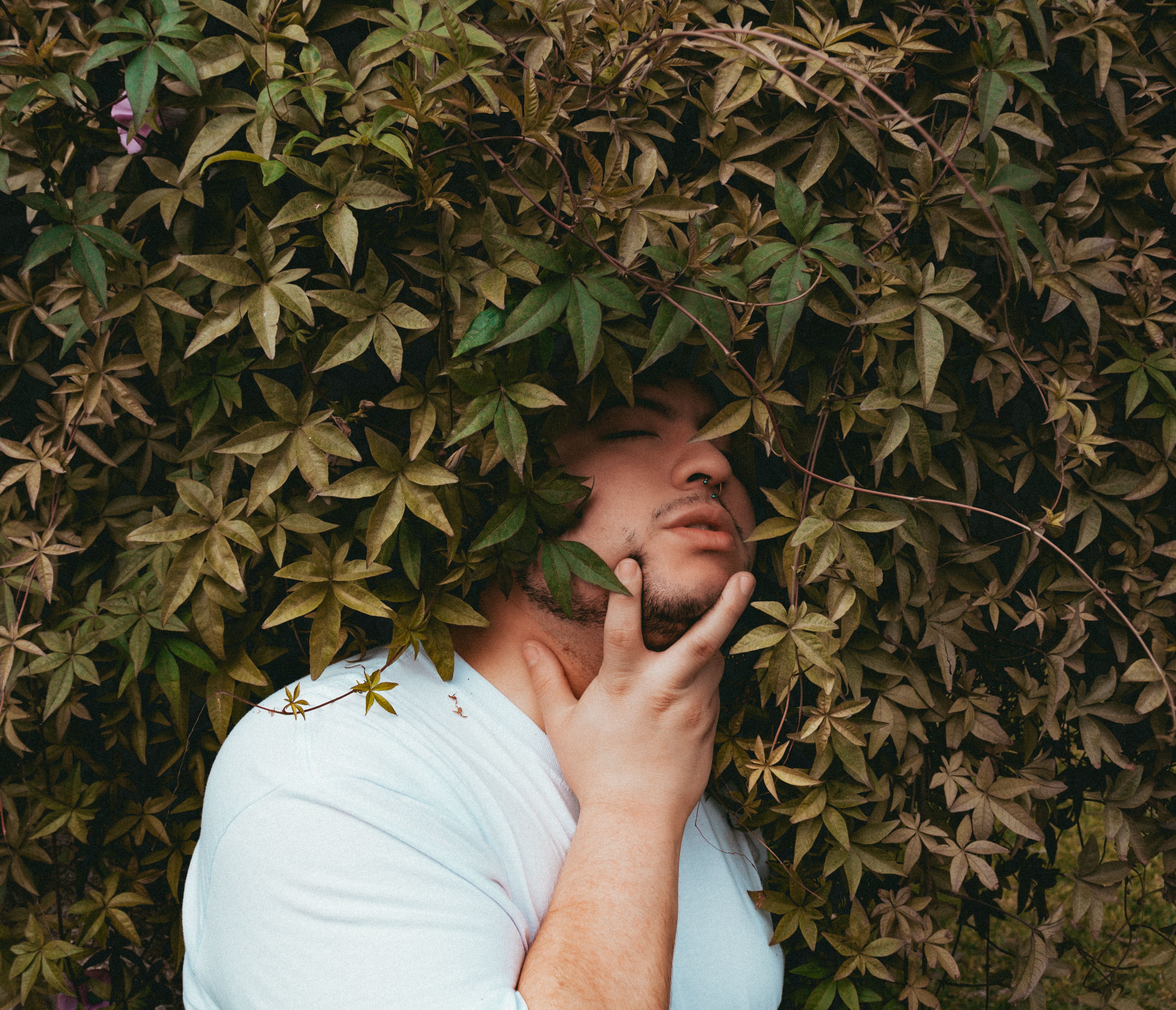 Portrait of Man Amidst Lush Greenery · Free Stock Photo