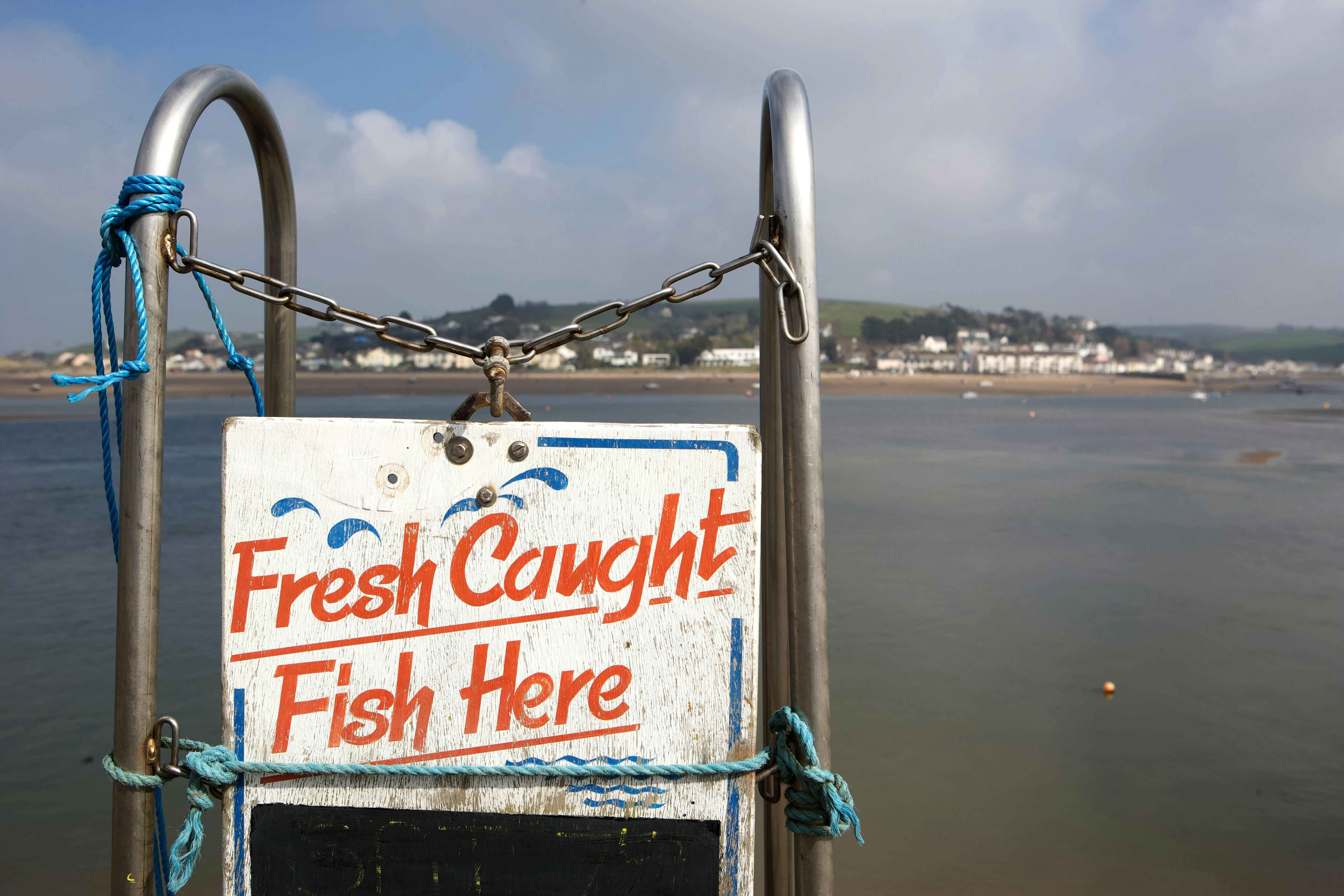 Seaside Fresh Fish Market Sign in England · Free Stock Photo