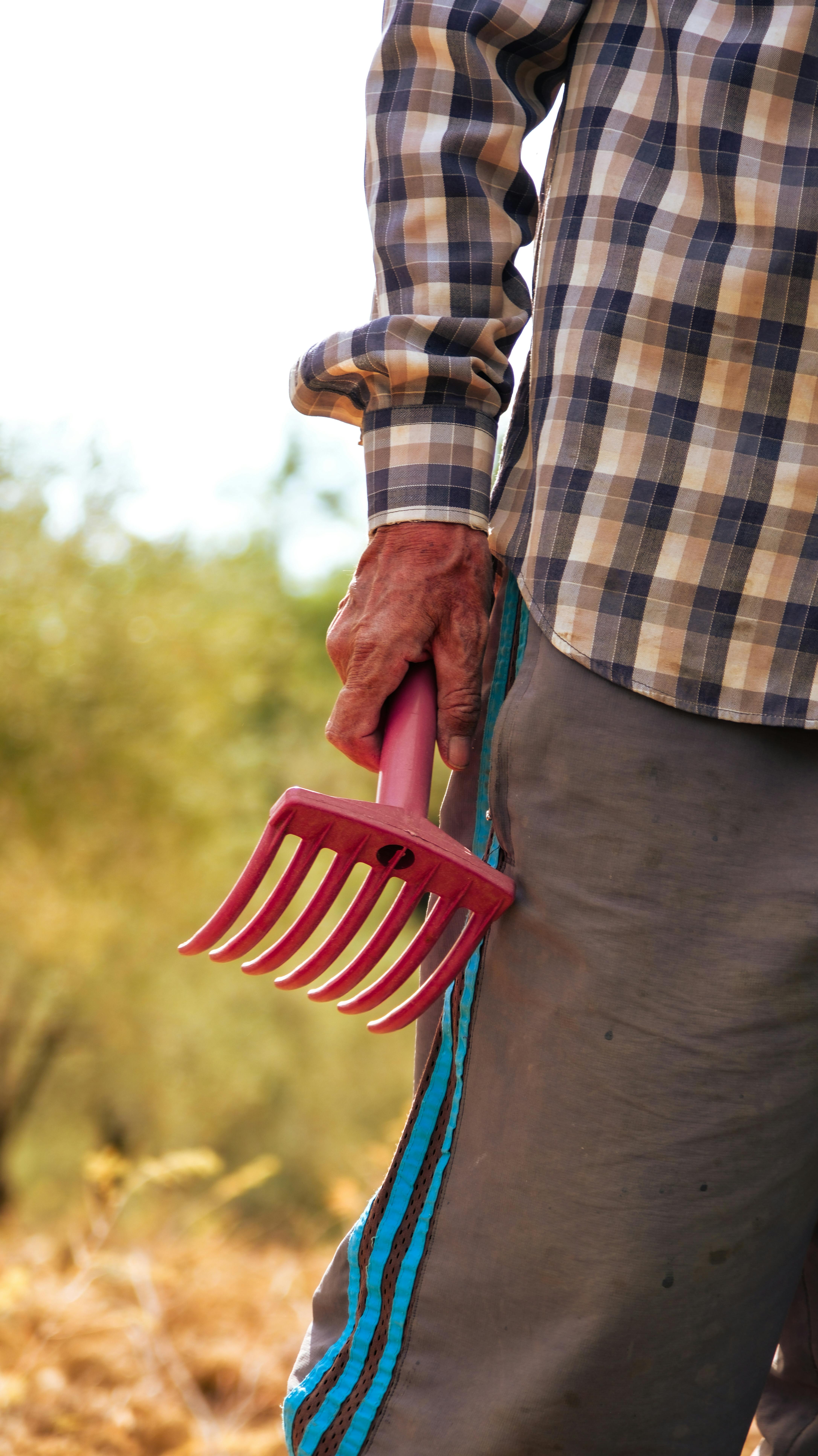 Un Agriculteur Tenant Un Râteau De Jardin Rouge à L'extérieur · Photo ...