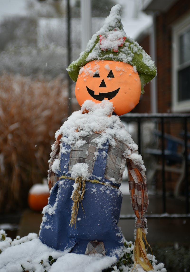 Scarecrow Photos, Download The BEST Free Scarecrow Stock Photos & HD Images