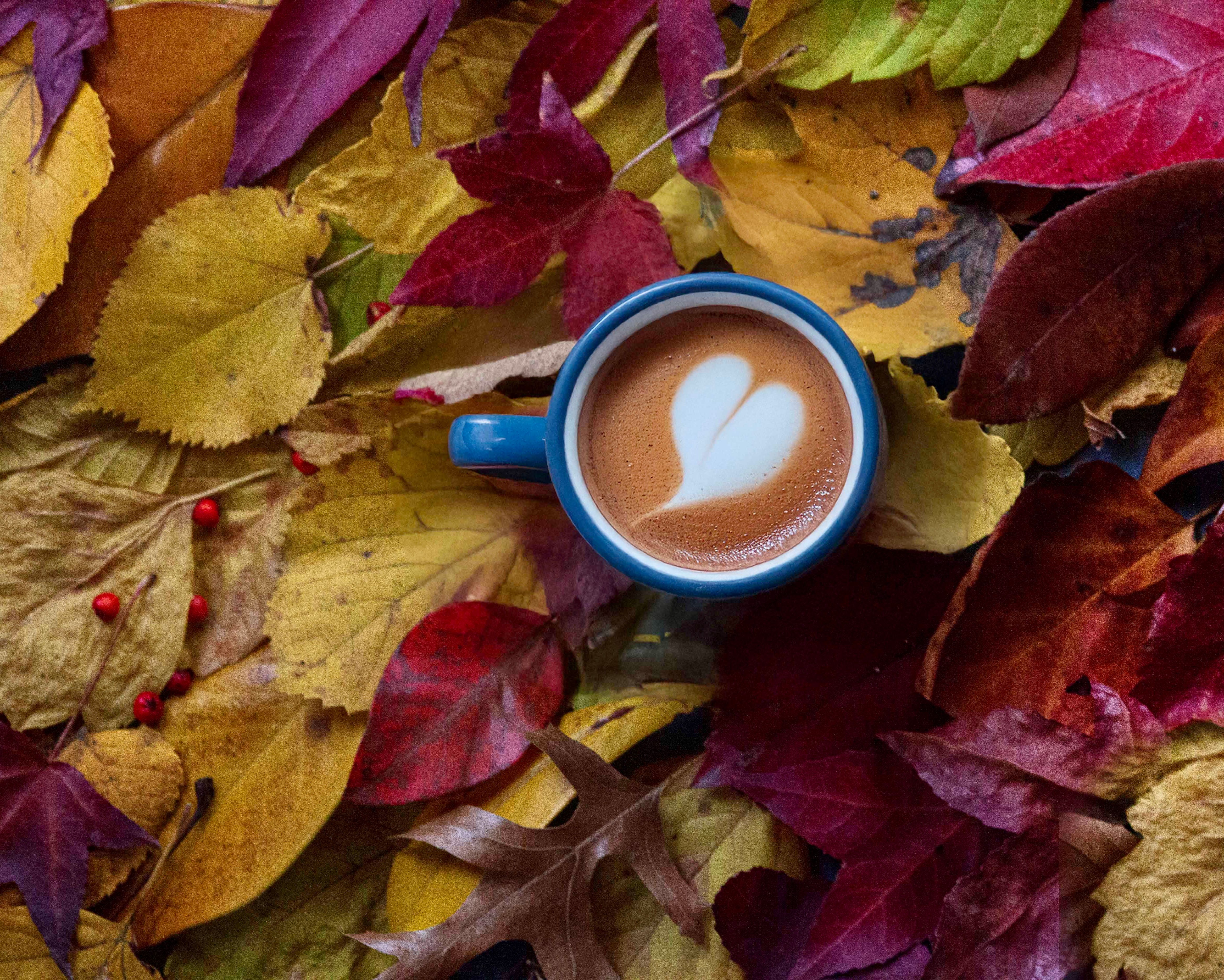 Autumn Leaves and Coffee Cup with Latte Art · Free Stock Photo