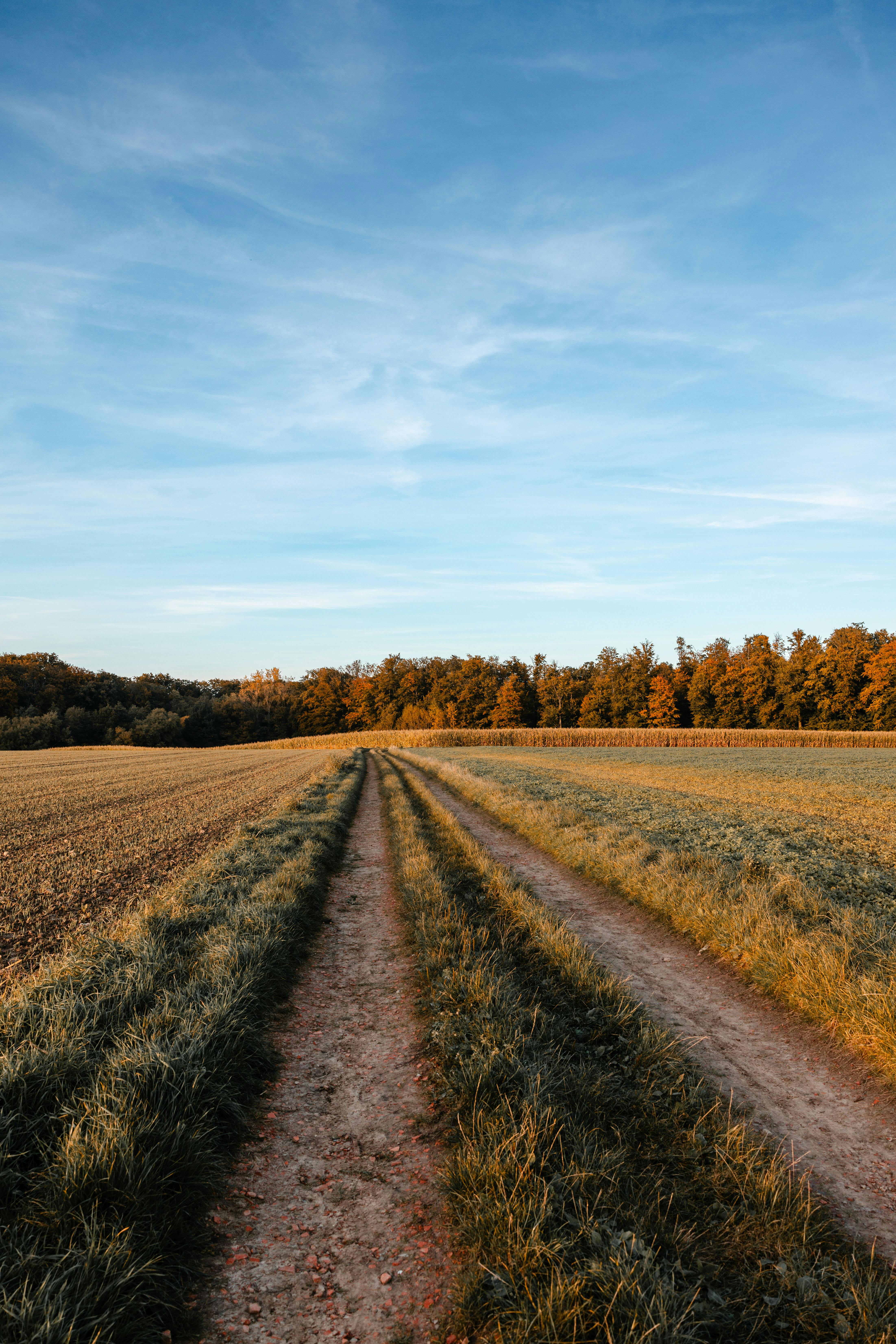 Rural Pathway in Autumn Fields, Bielefeld · Free Stock Photo