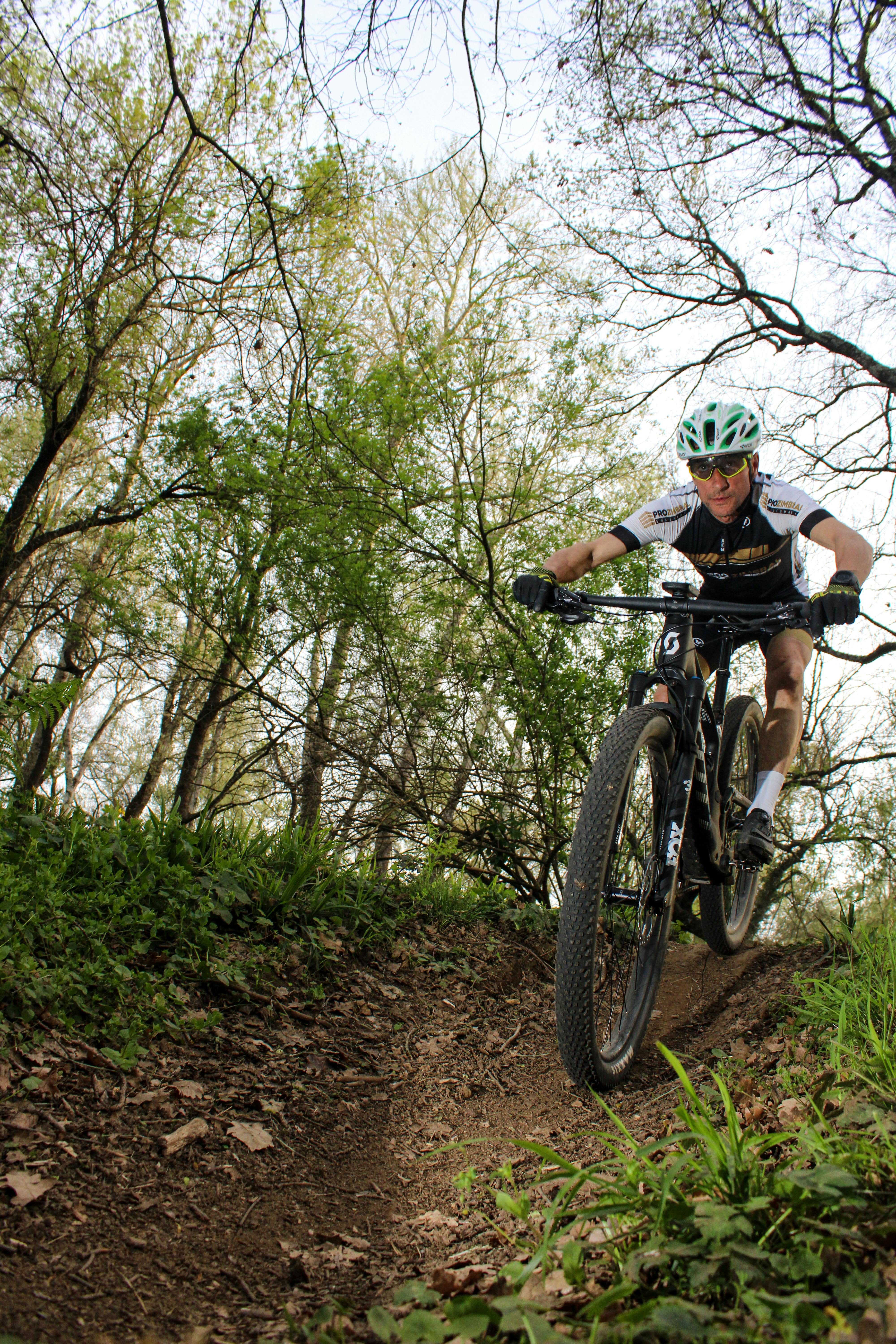 Mountain Biker Riding Through Forest Trail · Free Stock Photo