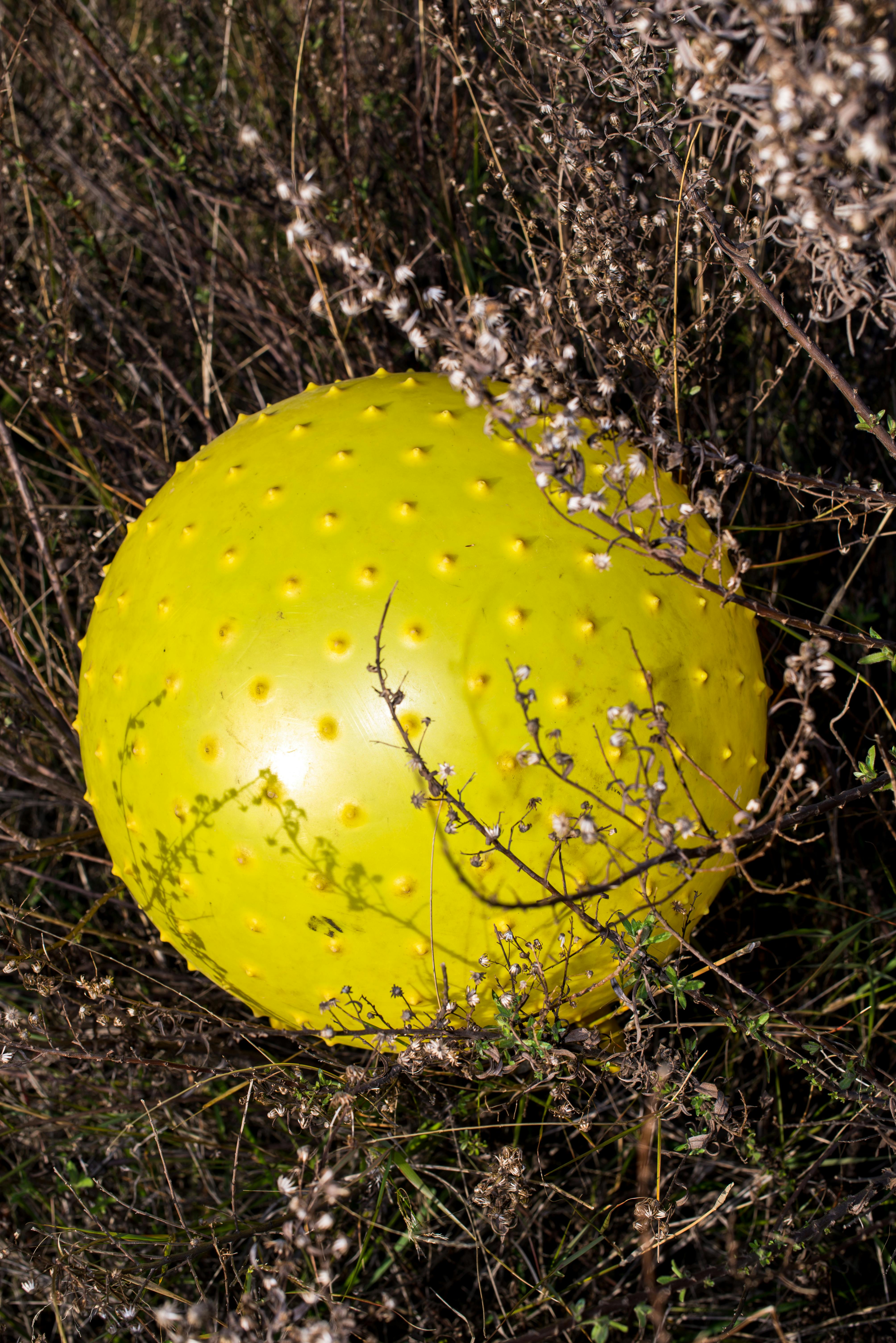 Static Ball Photos, Download The BEST Free Static Ball Stock Photos ...