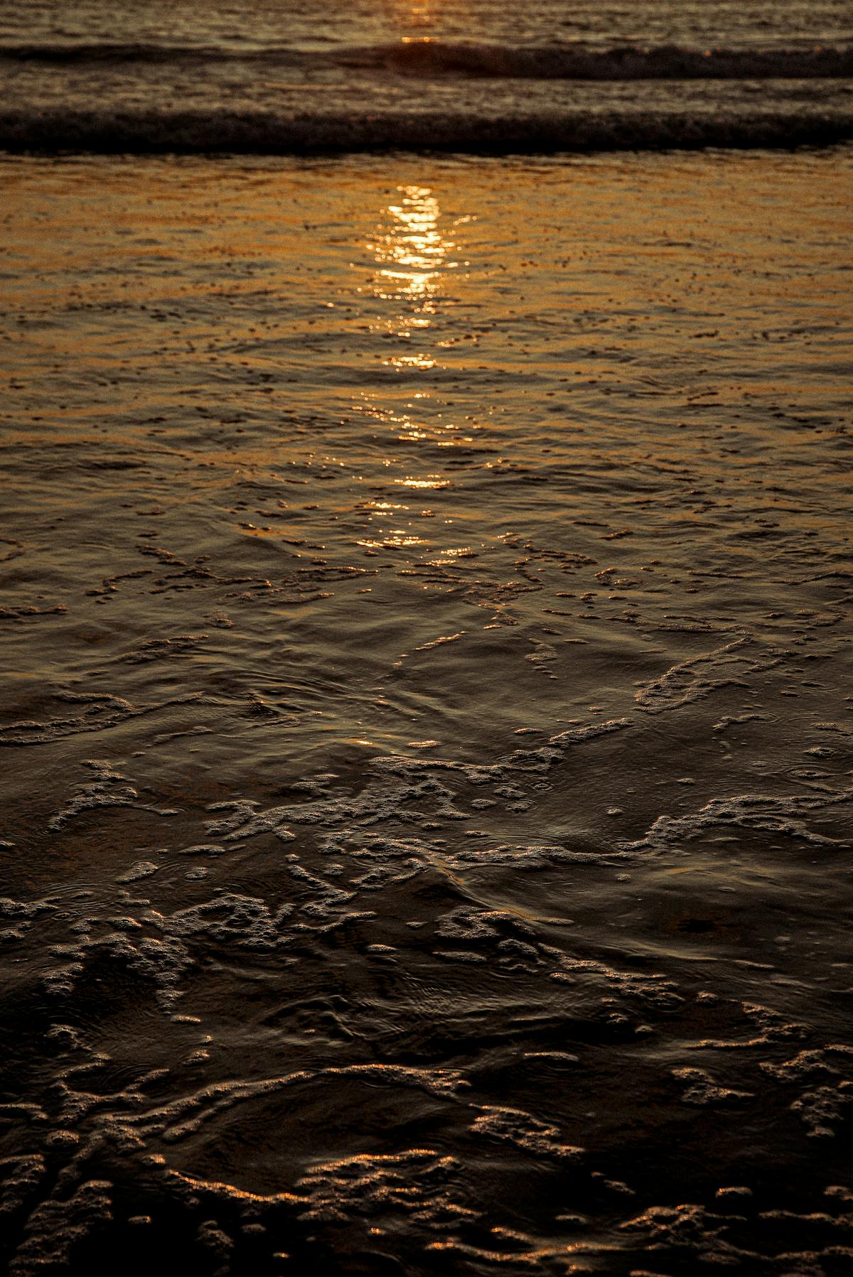 Adobe Photos, Download The BEST Free Adobe Stock Photos & HD Images