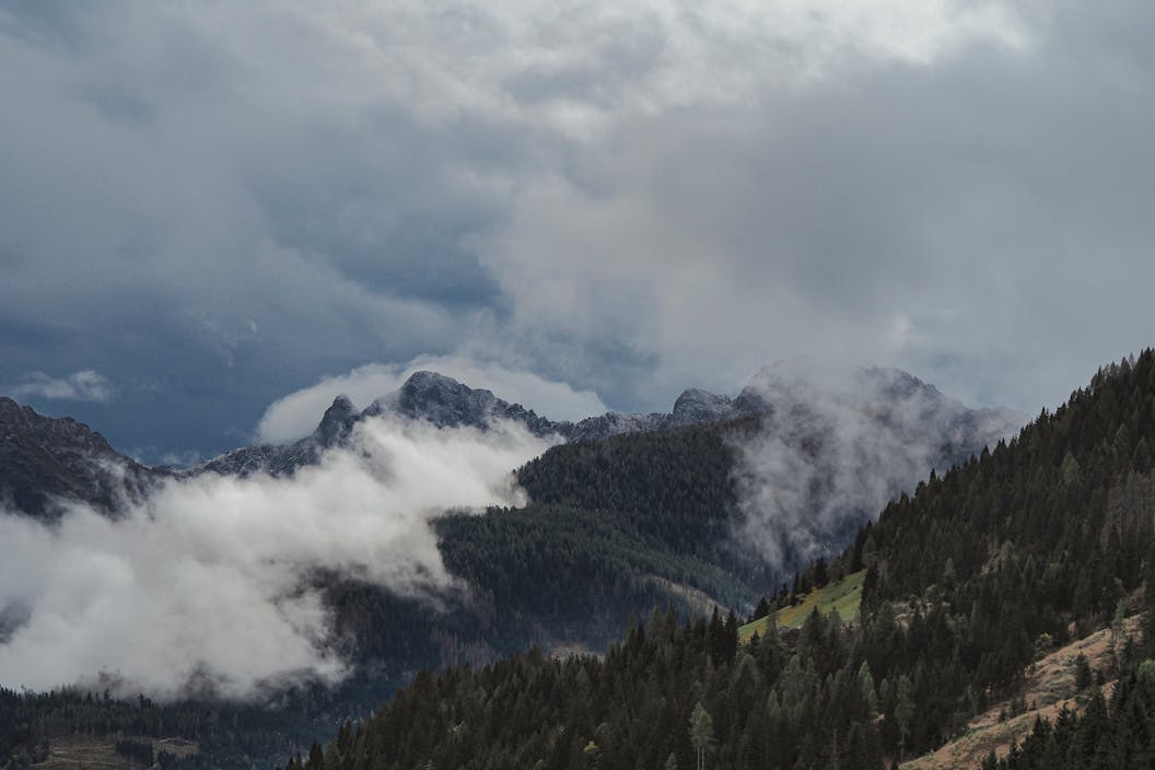 How to Screenshot on Apple Phone: A Simple 3-Step Guide