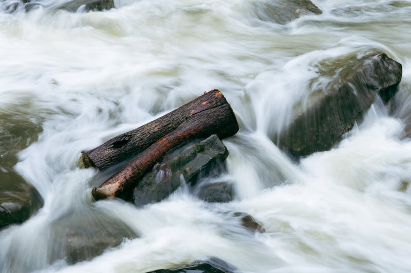 Log Footage Photos, Download The BEST Free Log Footage Stock Photos ...