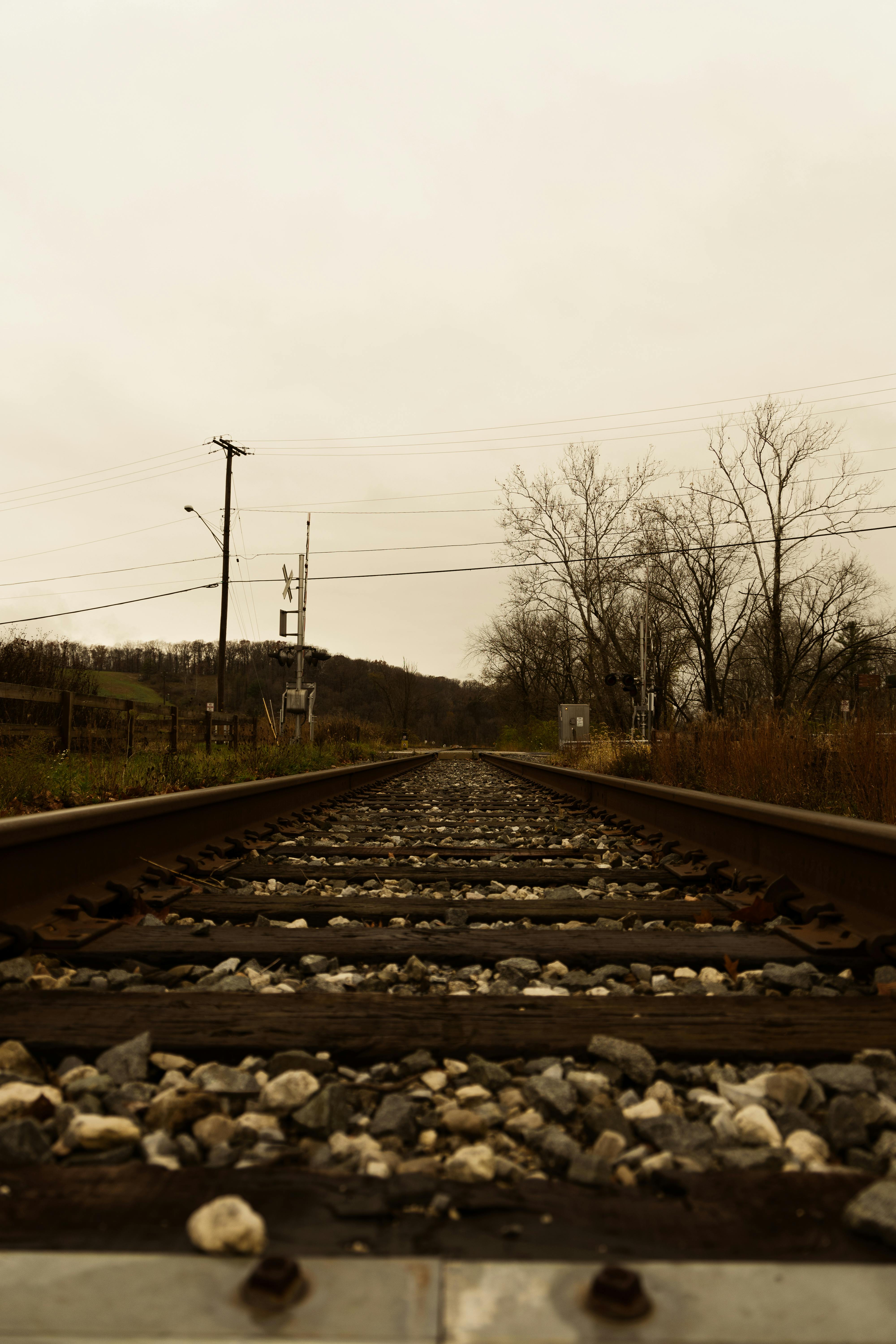 Rustic Railway Tracks in a Countryside Setting · Free Stock Photo
