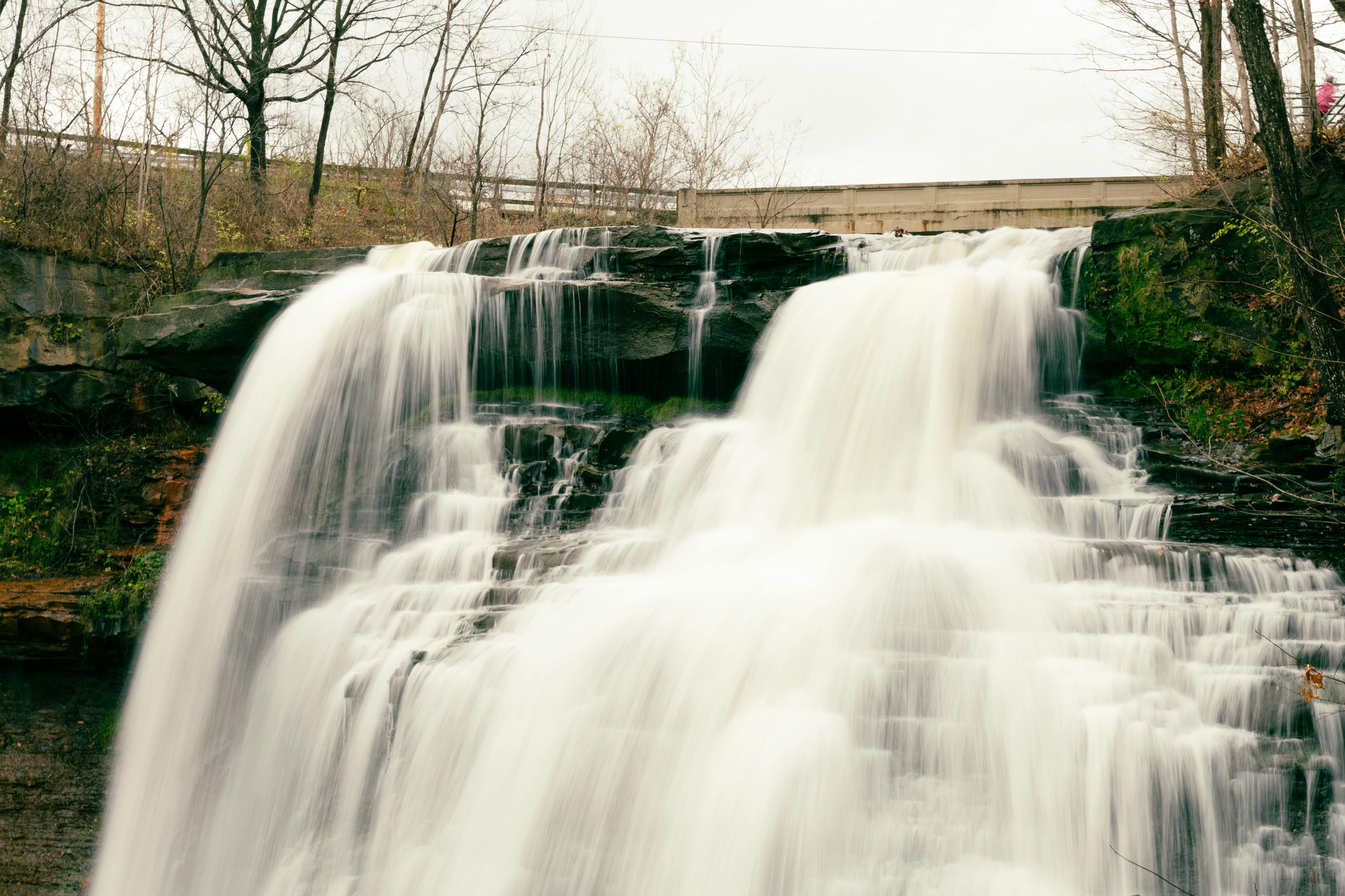 Eco Bridge Photos, Download The BEST Free Eco Bridge Stock Photos & HD ...