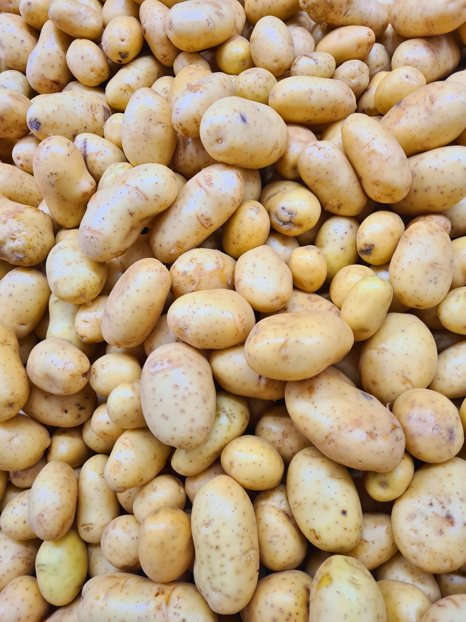 Skin On Potatoes Photos, Download The BEST Free Skin On Potatoes Stock ...