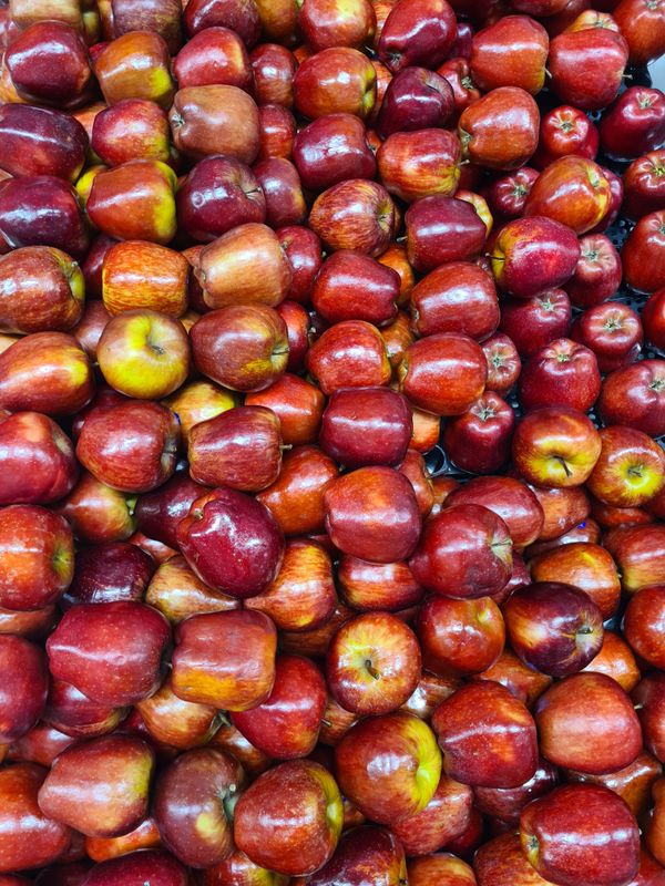 Apples Photos, Download The BEST Free Apples Stock Photos & HD Images