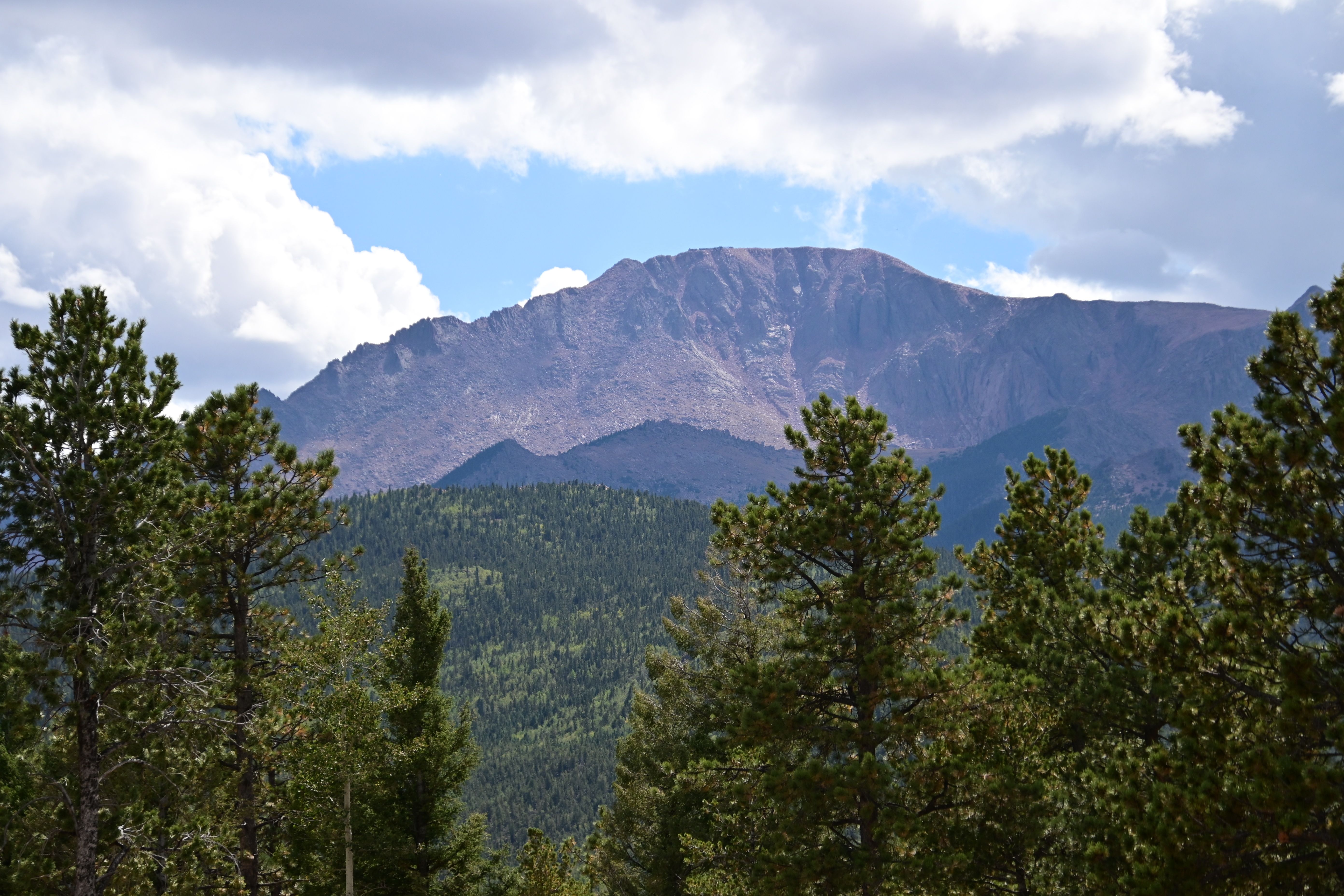 Scenic View of Pikes Peak and Pine Forest · Free Stock Photo