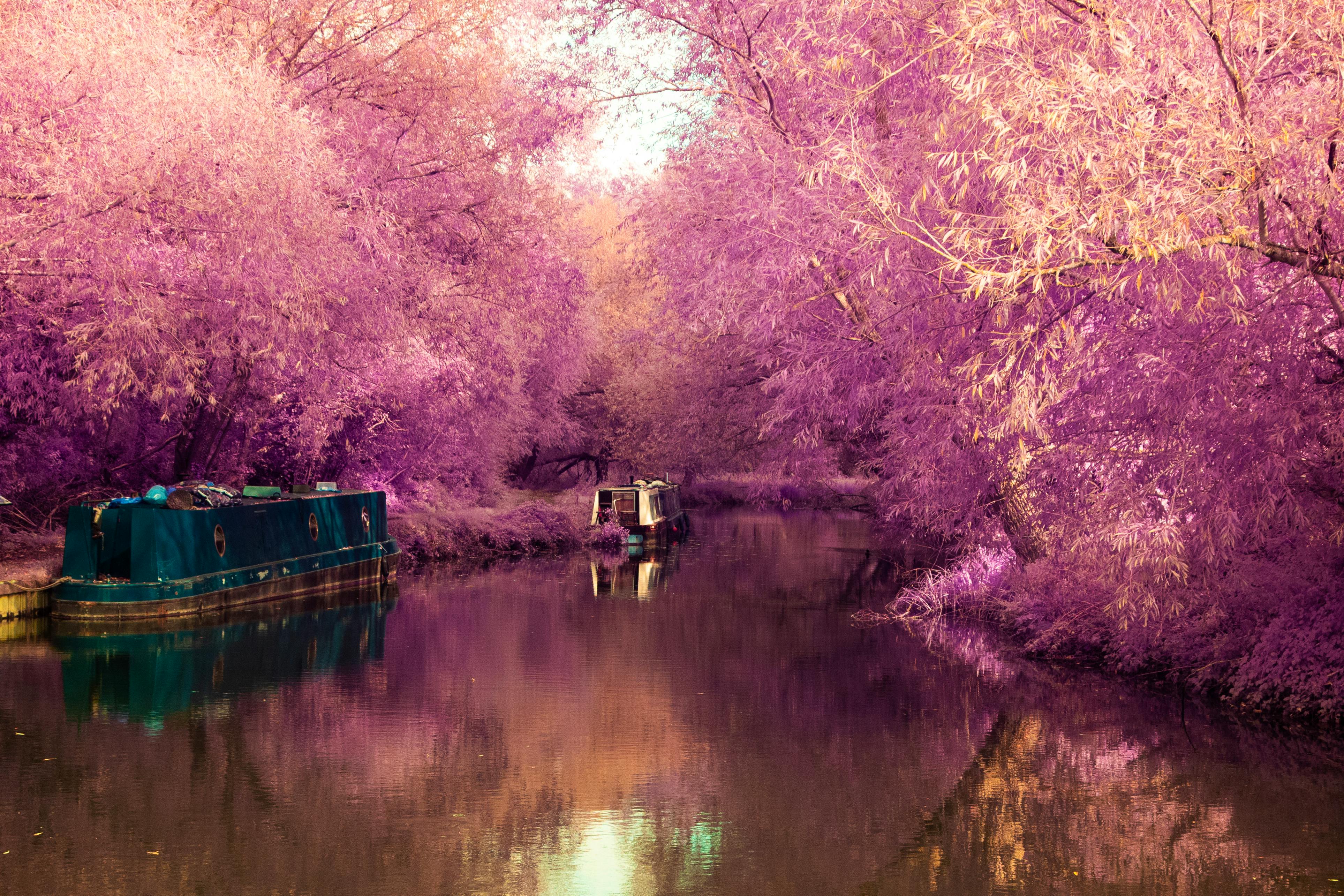 Le 1.000+ migliori foto di Hombres+desnudos+con+pene+erecto · Download ...