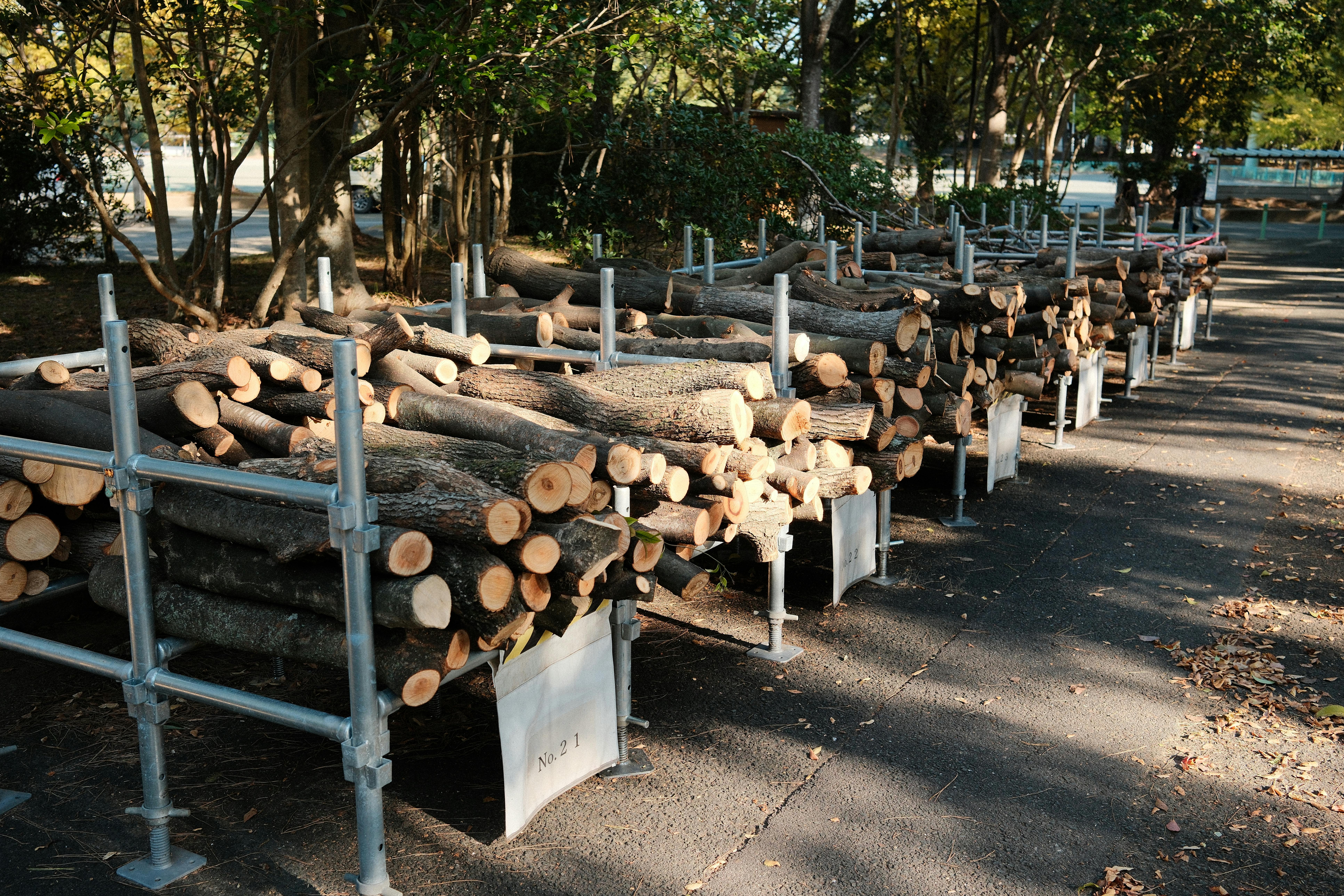 Stacked Timber Logs in a Park Setting · Free Stock Photo