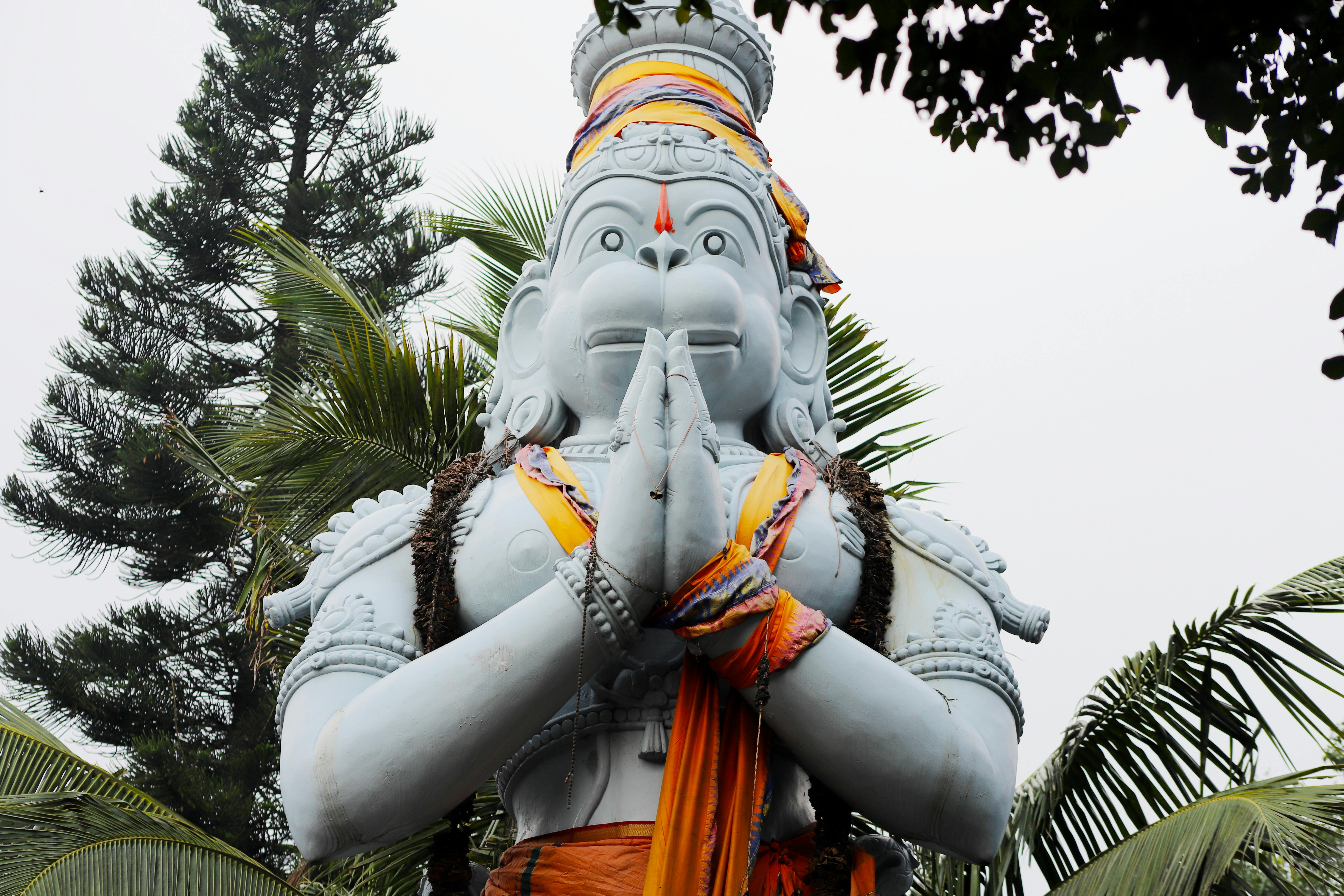 300.000+ Foto Bunga Pala Terbaik · Unduh Gratis 100% · Foto Stok Pexels