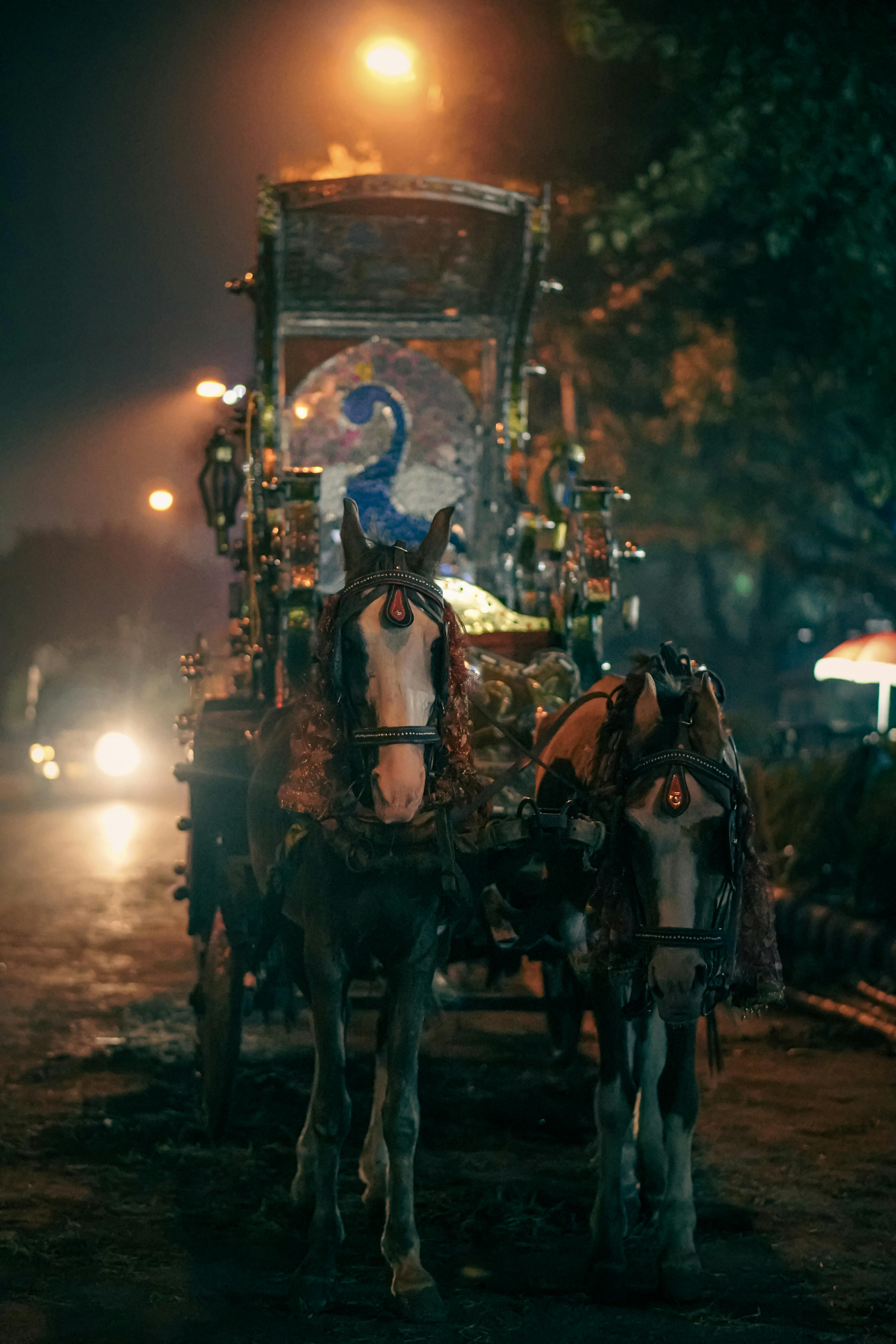 Ornate Horse-Drawn Carriage at Night · Free Stock Photo
