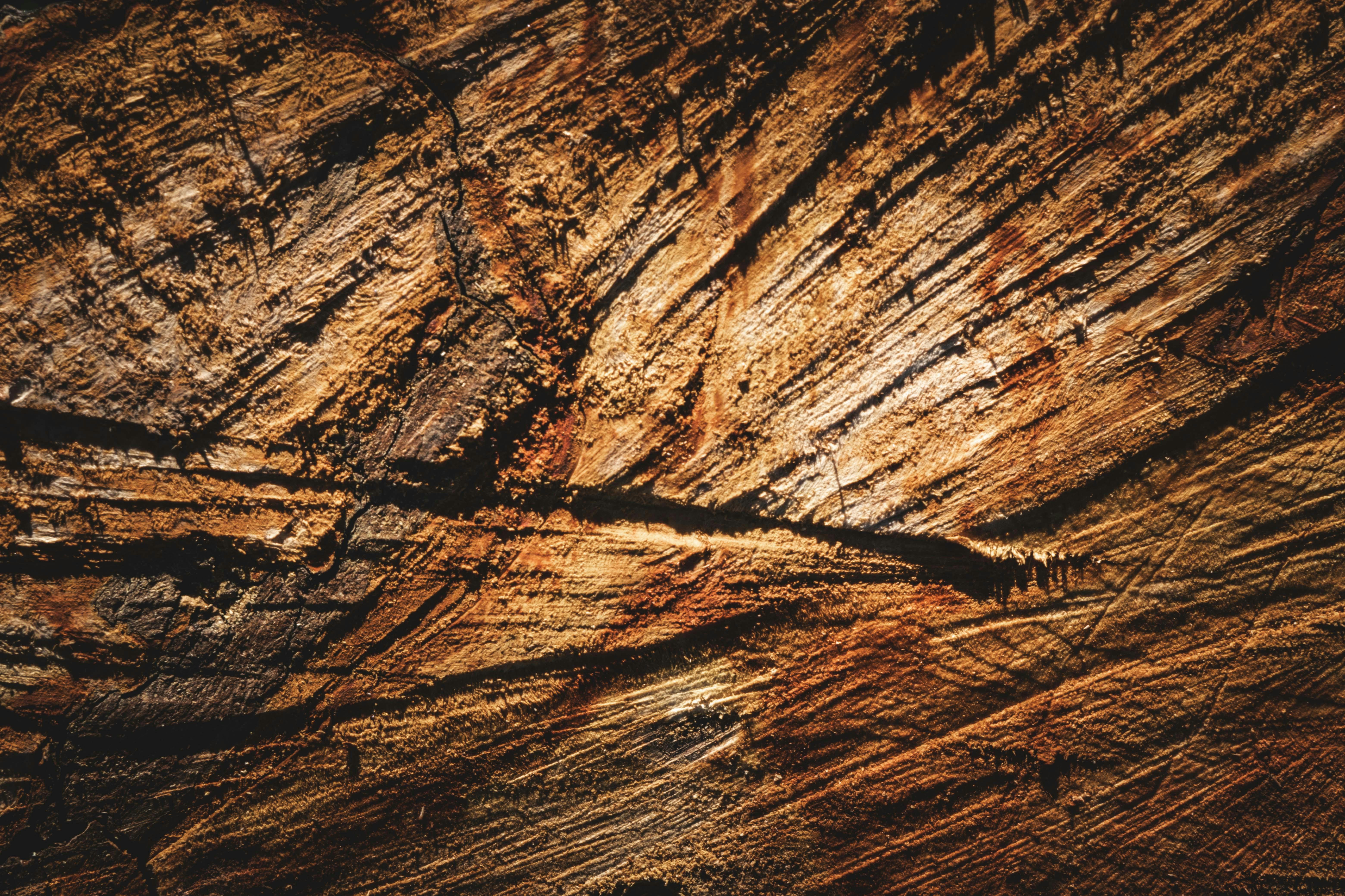 Close-up of Textured Wooden Surface · Free Stock Photo