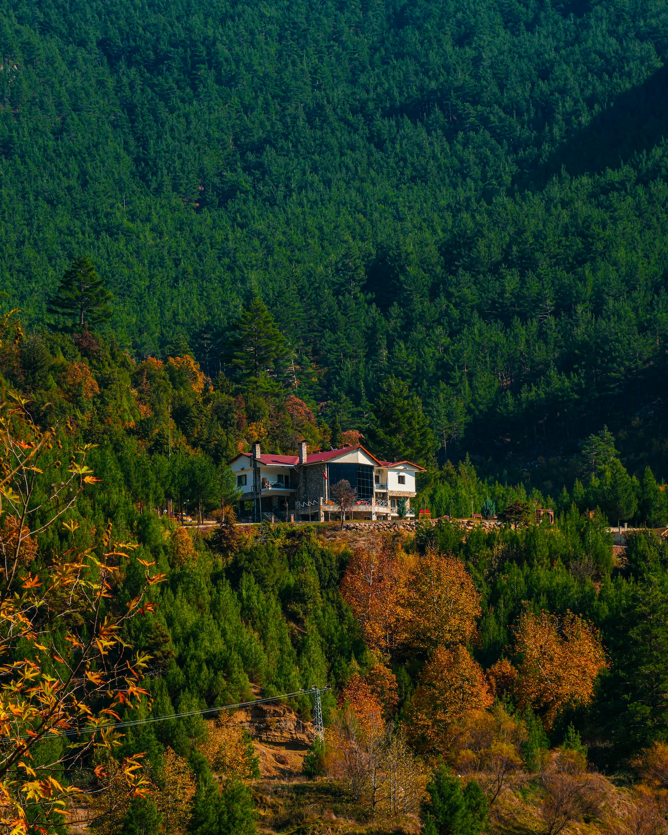 Nature House Photos, Download The BEST Free Nature House Stock Photos ...