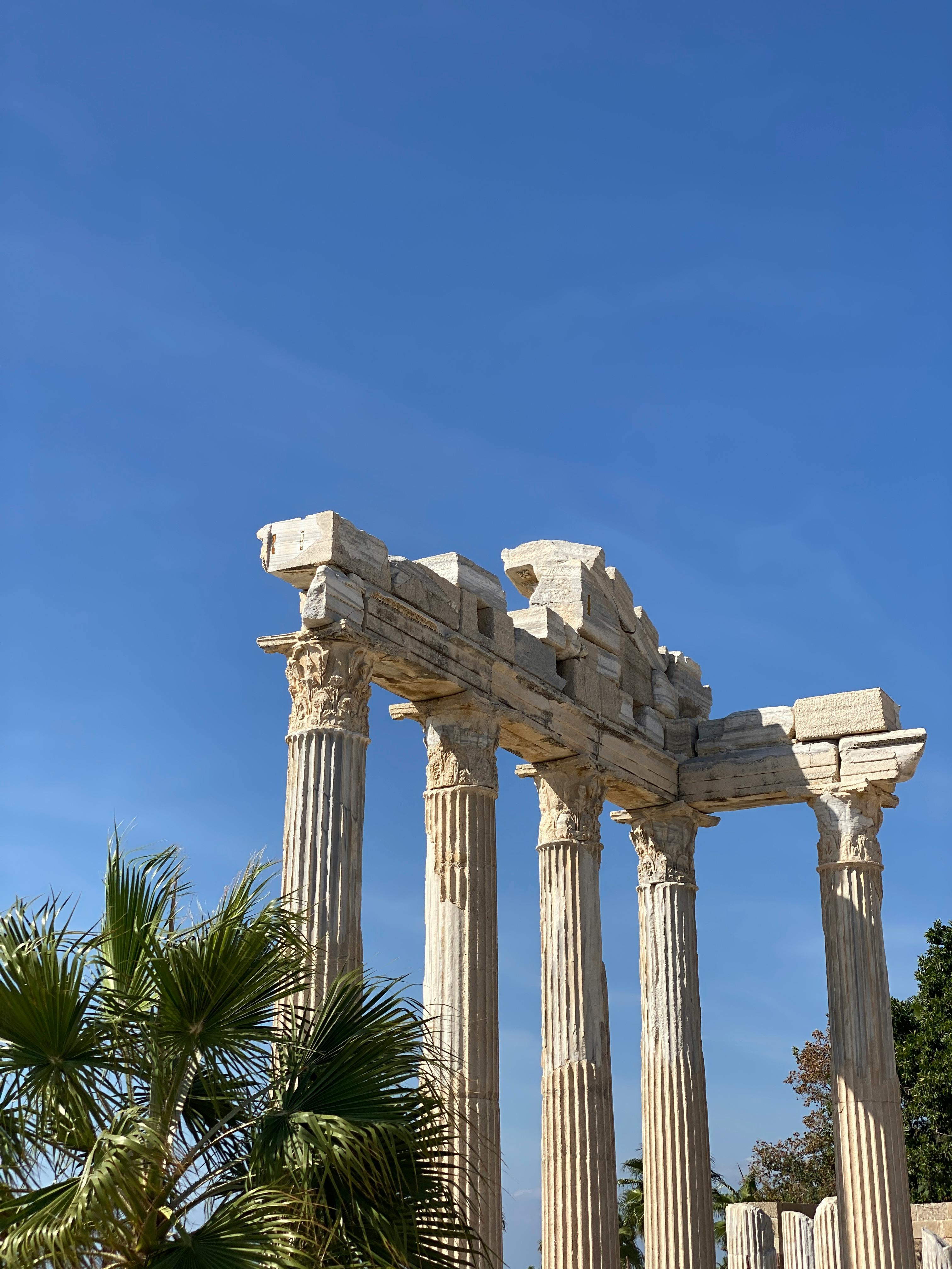 See Side Photos, Download The BEST Free See Side Stock Photos & HD Images