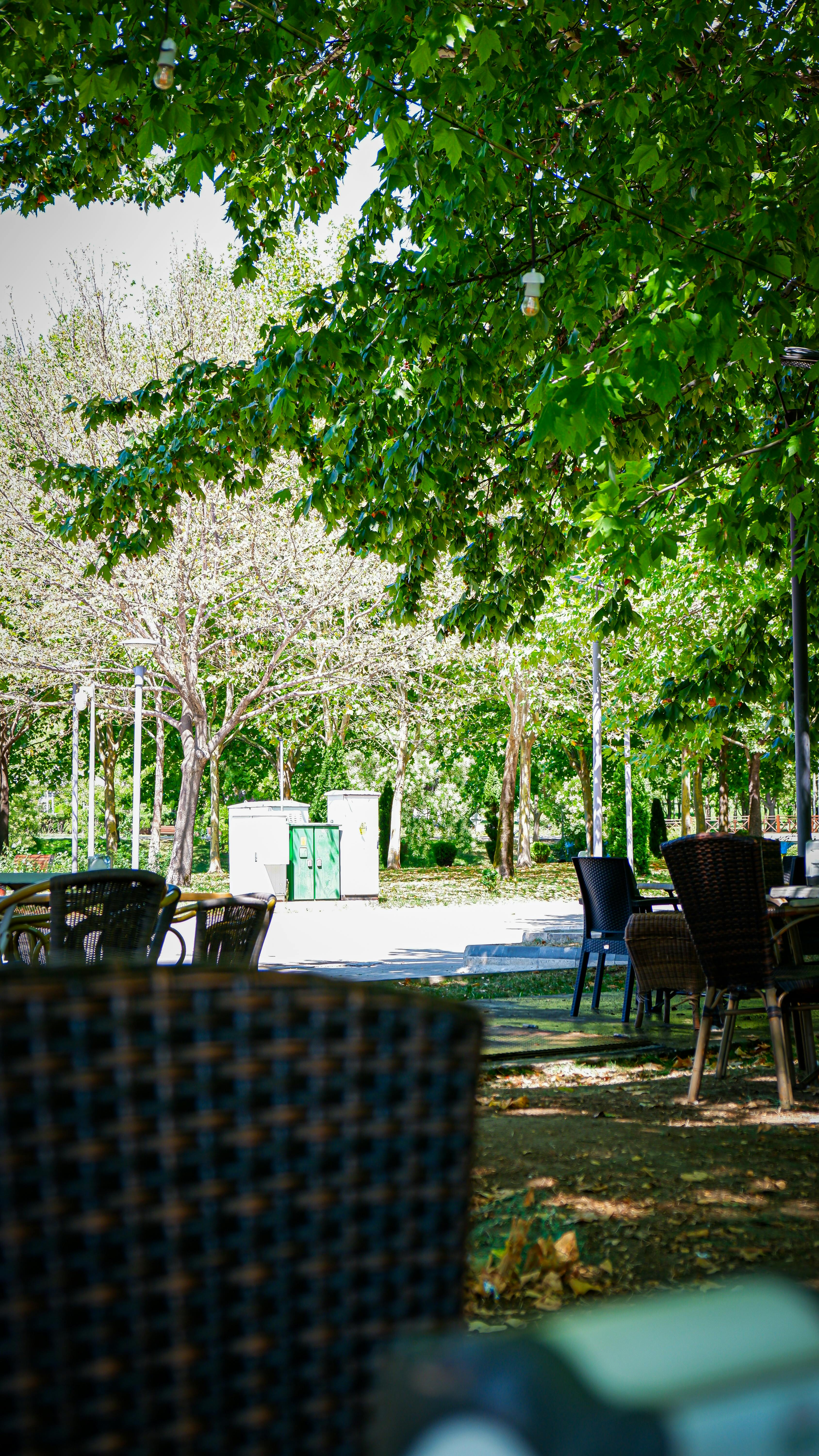 Tranquil Outdoor Park Scene in Ankara Türkiye · Free Stock Photo