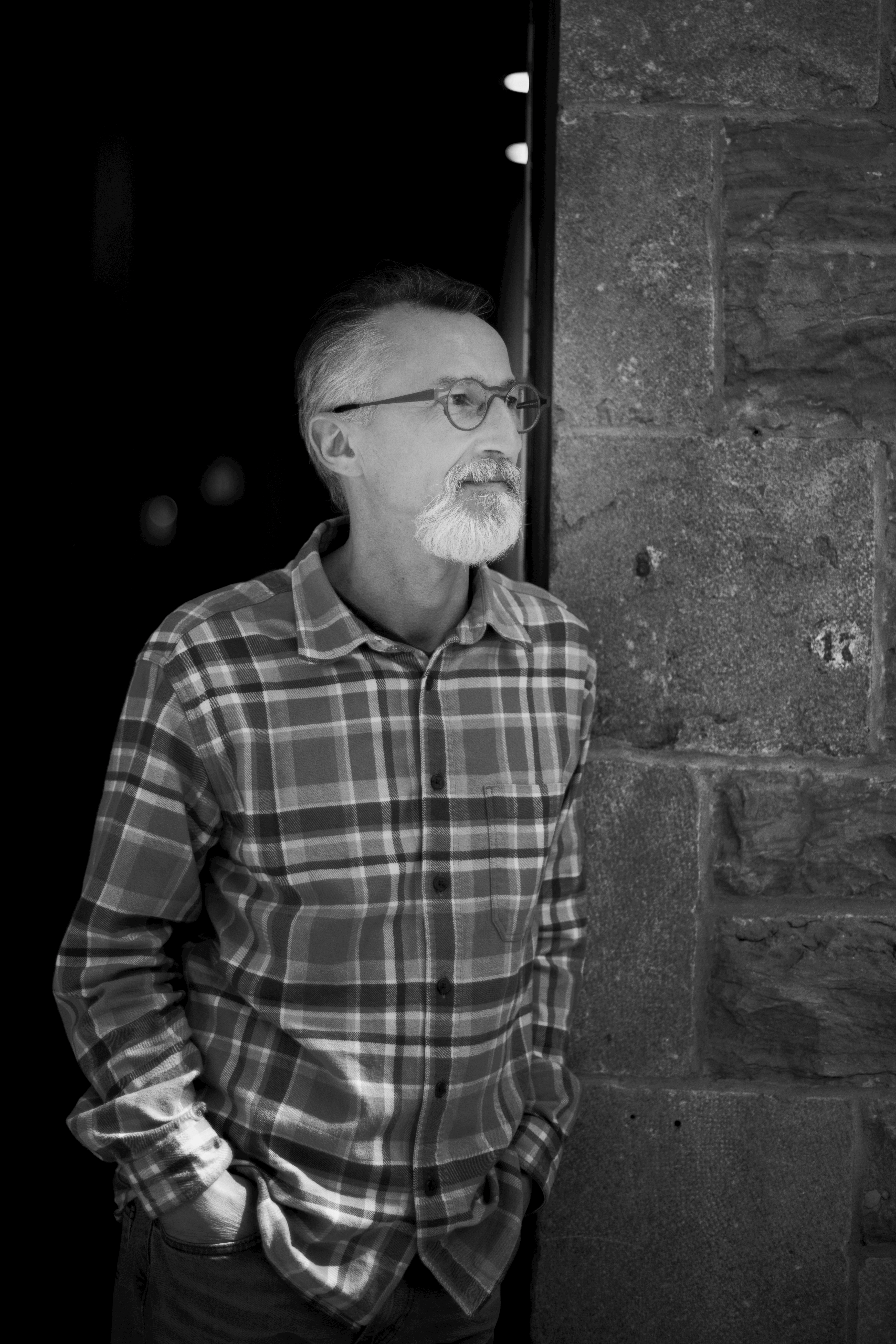 Handsome Staring Eagle Photos, Download The BEST Free Handsome Staring ...